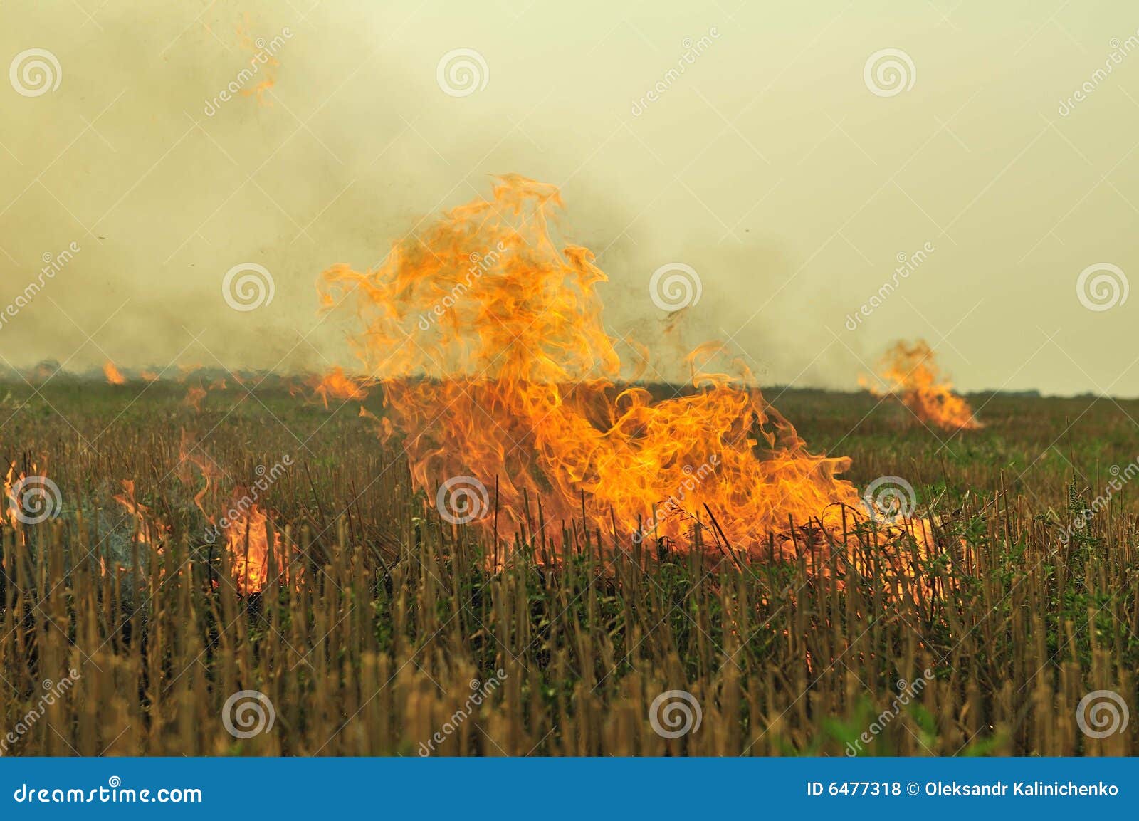 Burning the stubble stock photo. Image of orange, trouble - 6477318