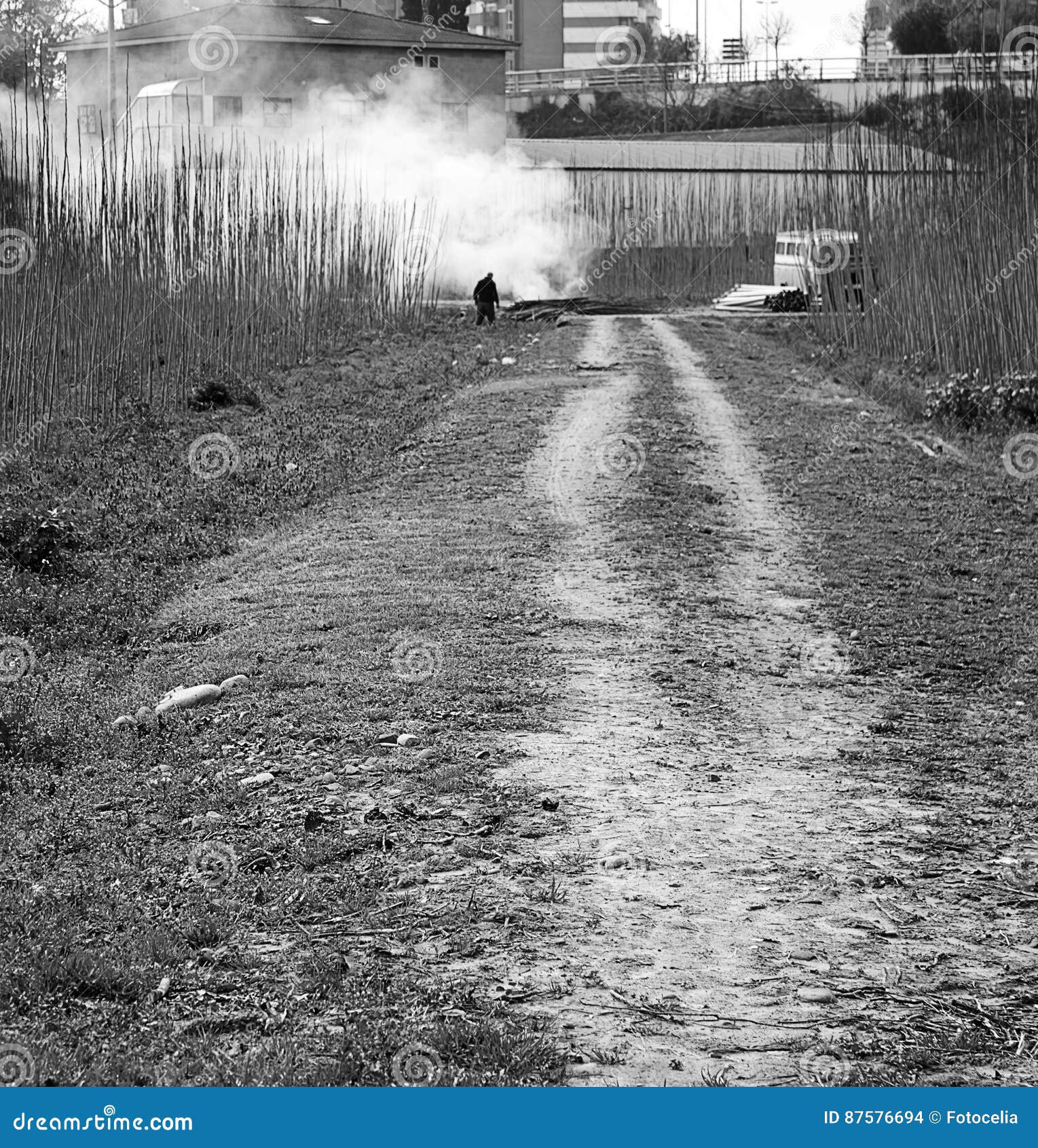 Burning stubble field stock photo. Image of natural, global - 87576694