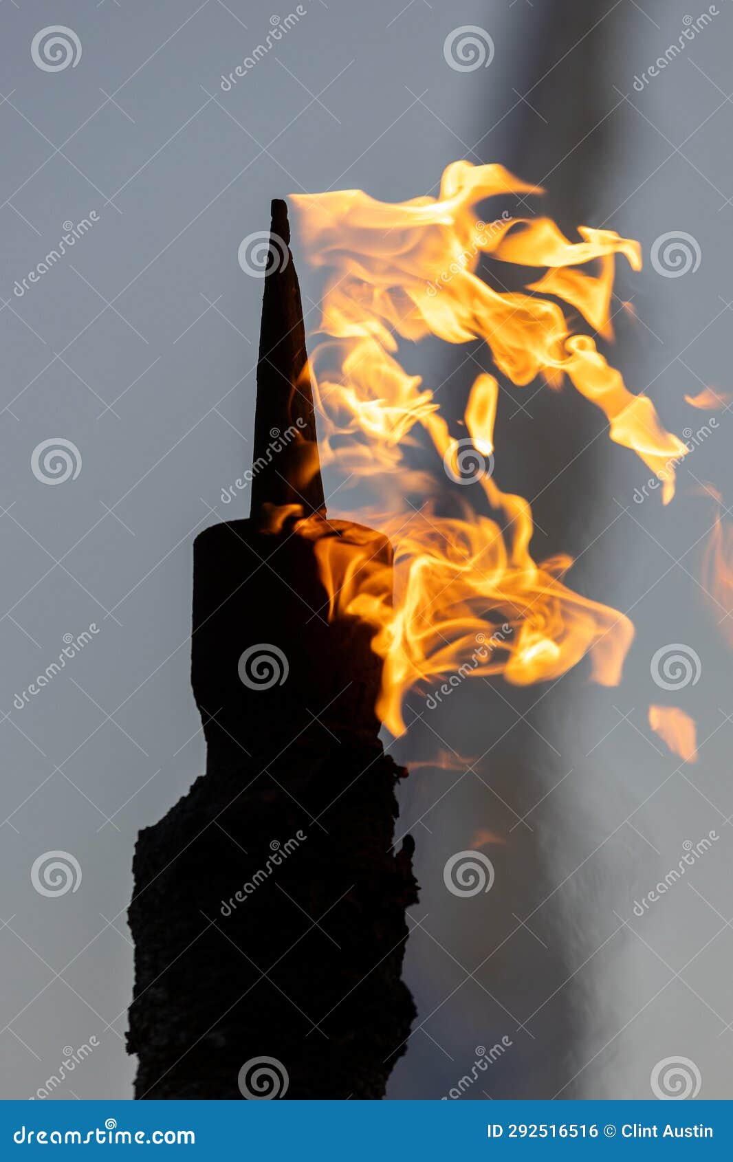Burning Torch at a Fire Ceremony in Bali Stock Photo - Image of ...