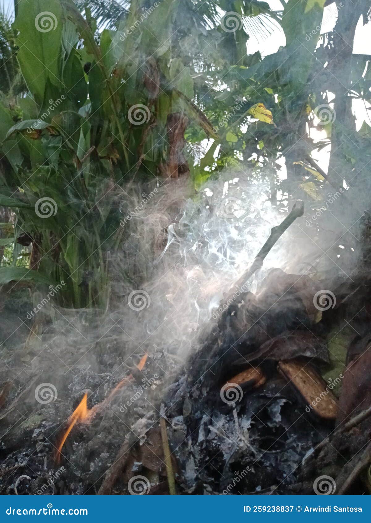 Burning Trash Becomes a Beautiful Sight Stock Image - Image of water ...
