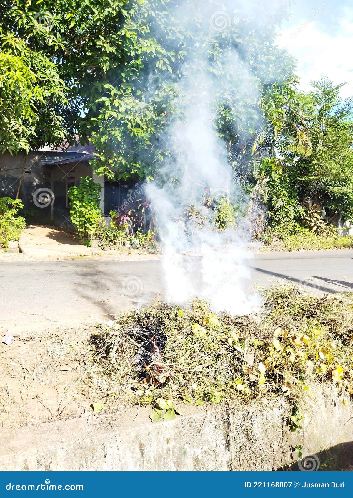 Burning Trash stock image. Image of park, burning, watercourse - 221168007