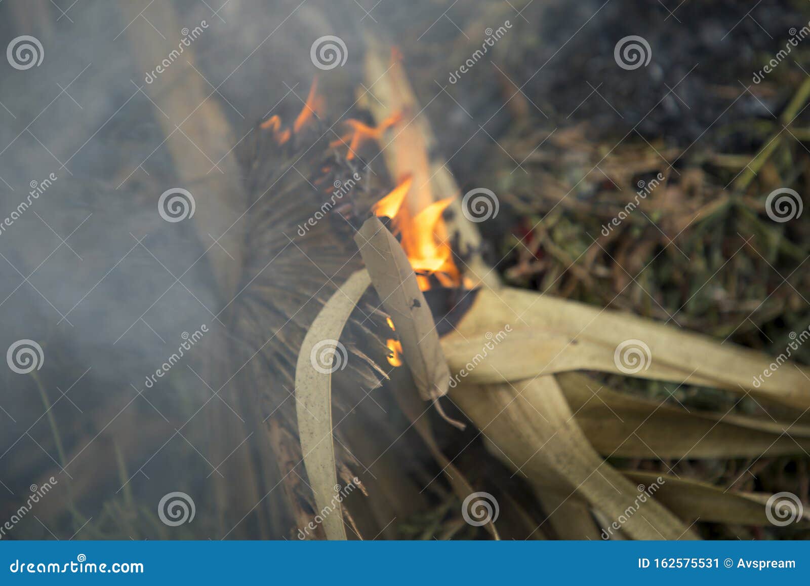 Burning Trash Leaves and Tree Branches in the Garden, Natural ...