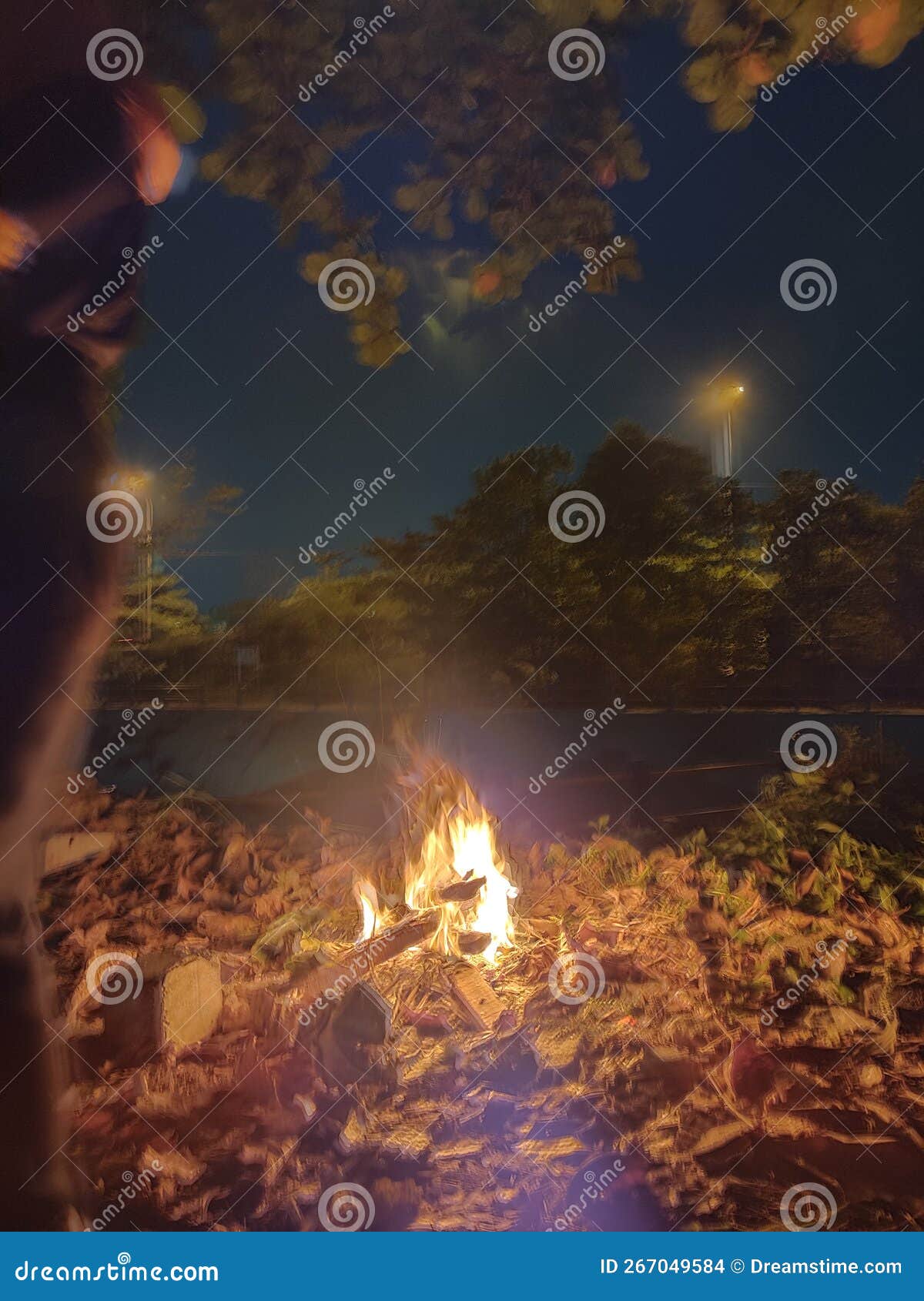 Burning tree stock photo. Image of tree, burning, night - 267049584