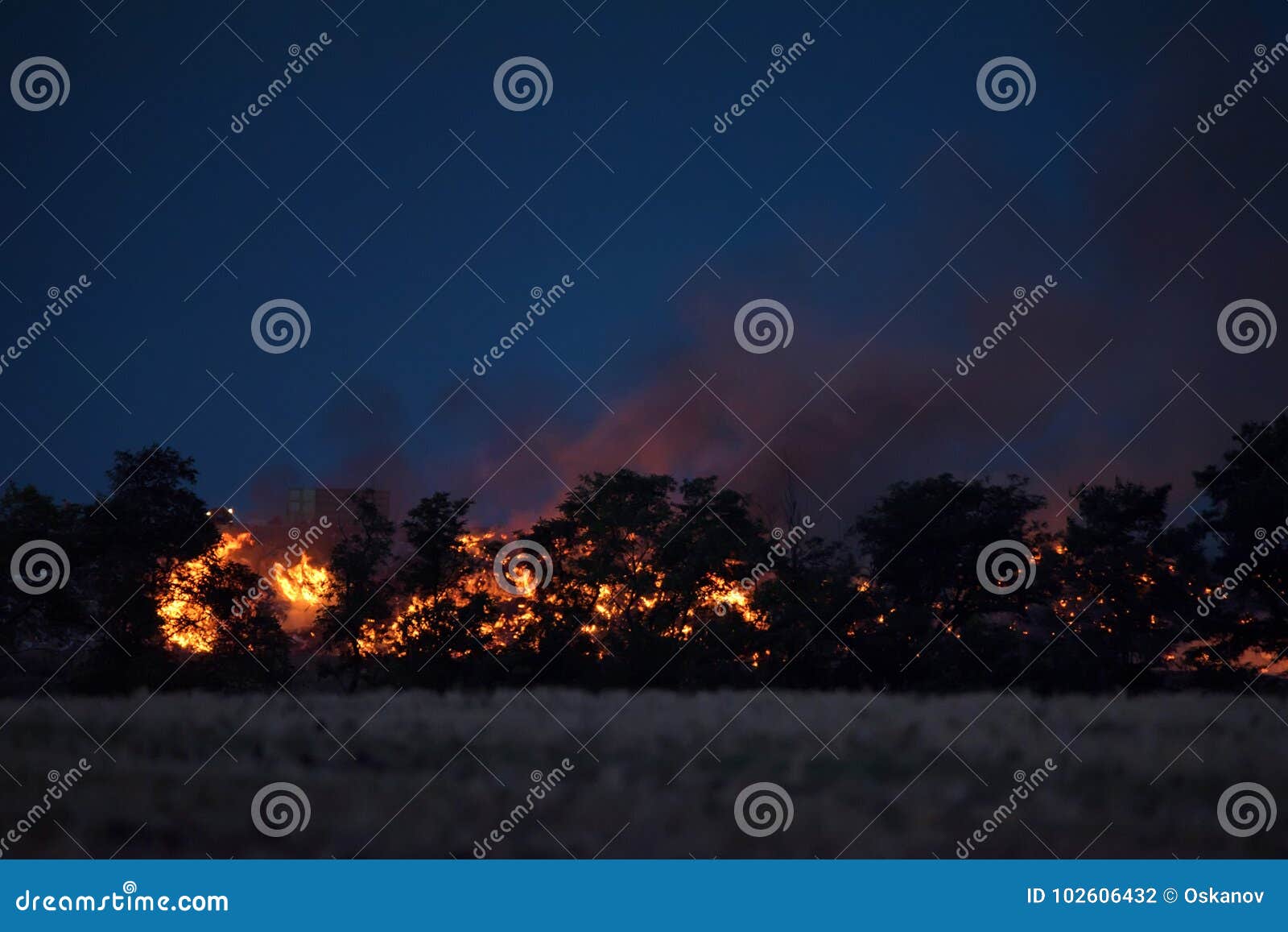 Forest fire at night stock photo. Image of flame, environment - 102606432