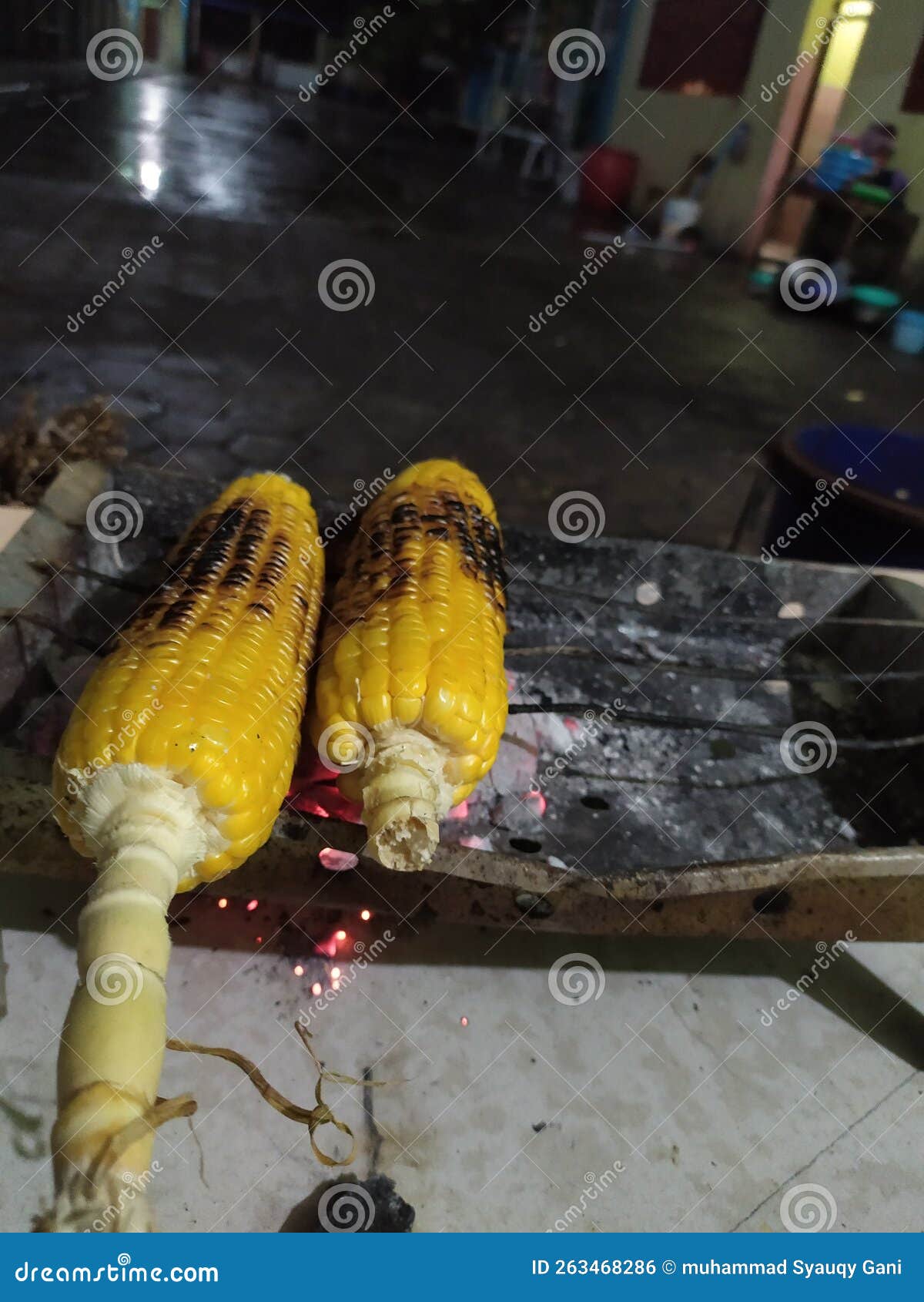 Two roasted corn stock photo. Image of corn, roated - 263468286