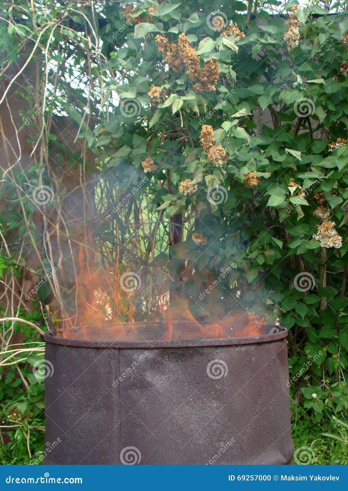 Burning of Vegetative Waste Stock Photo - Image of burning, energy ...