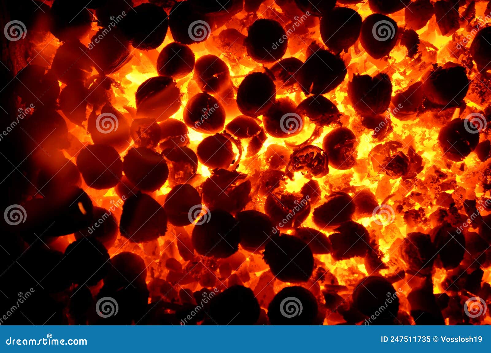 Burning Walnuts As a Background. Stock Image - Image of fireplace, glow ...