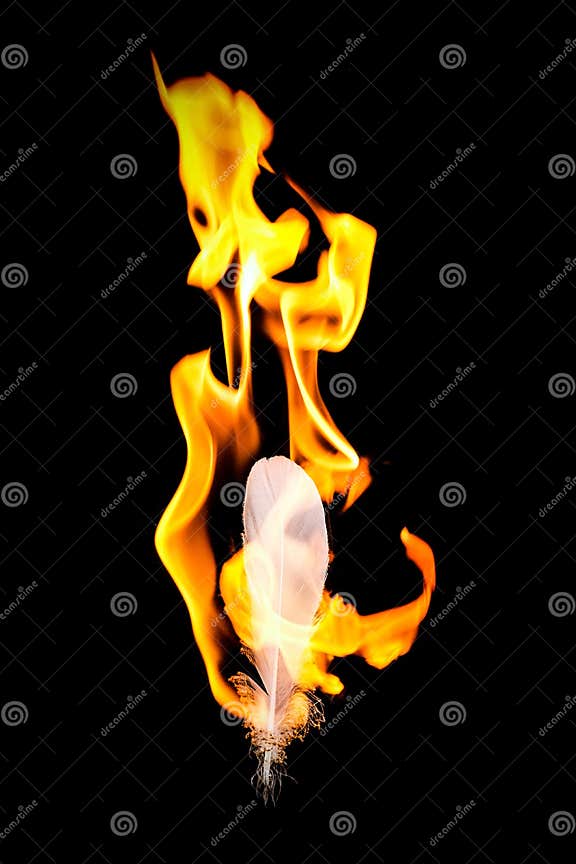Burning white feather stock photo. Image of burning - 179178988