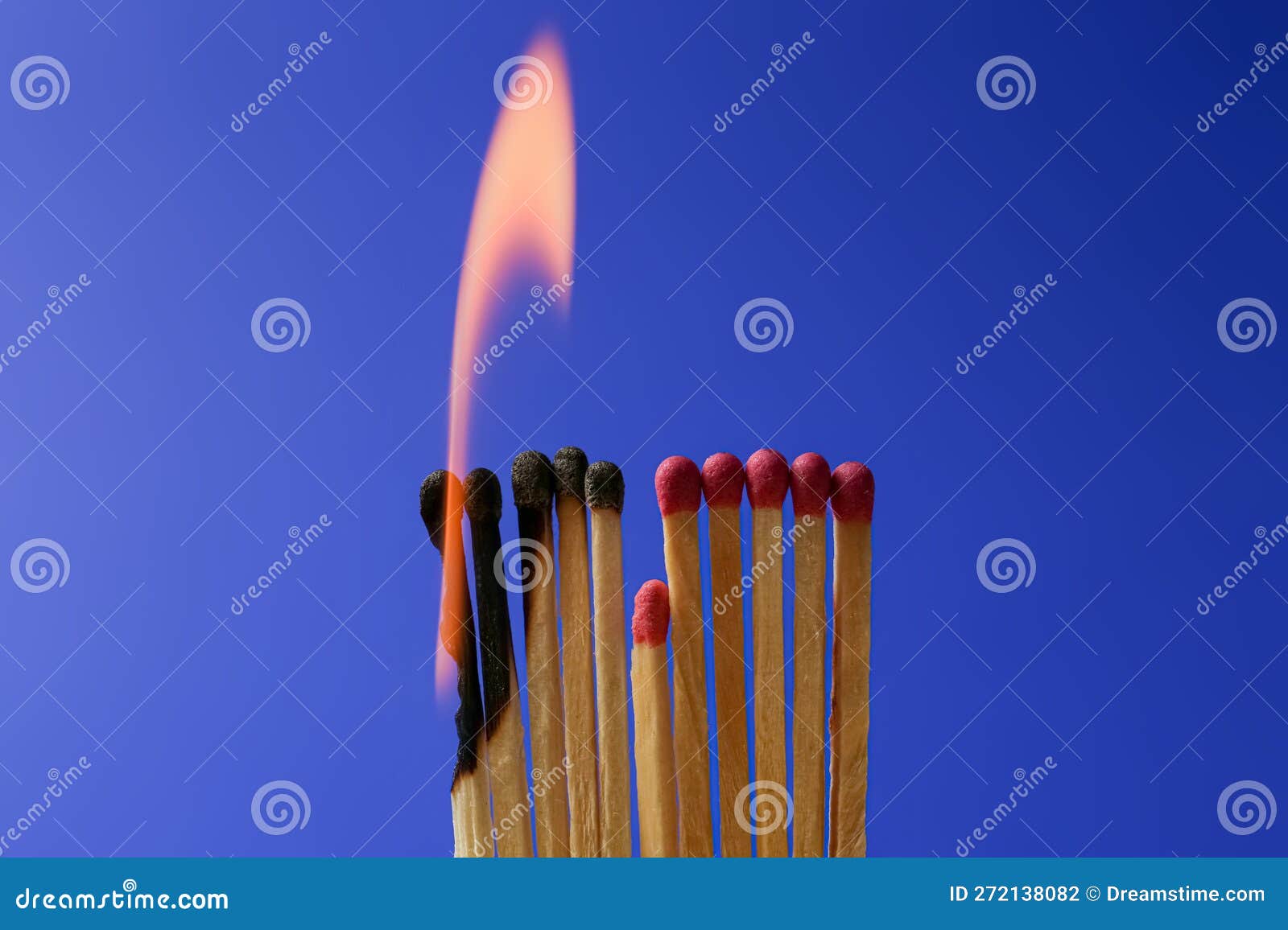 Burning and Whole Matches on Blue Background. Stop Destruction Concept ...
