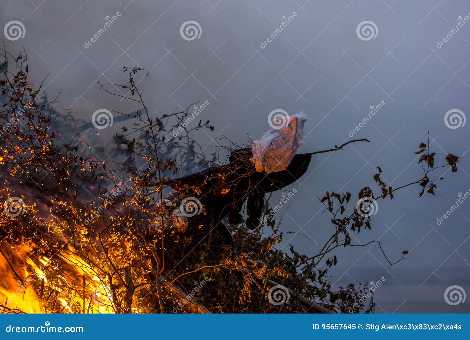 Burning a Witch Effigy is a Danish Midsummer Tradition Stock Image ...