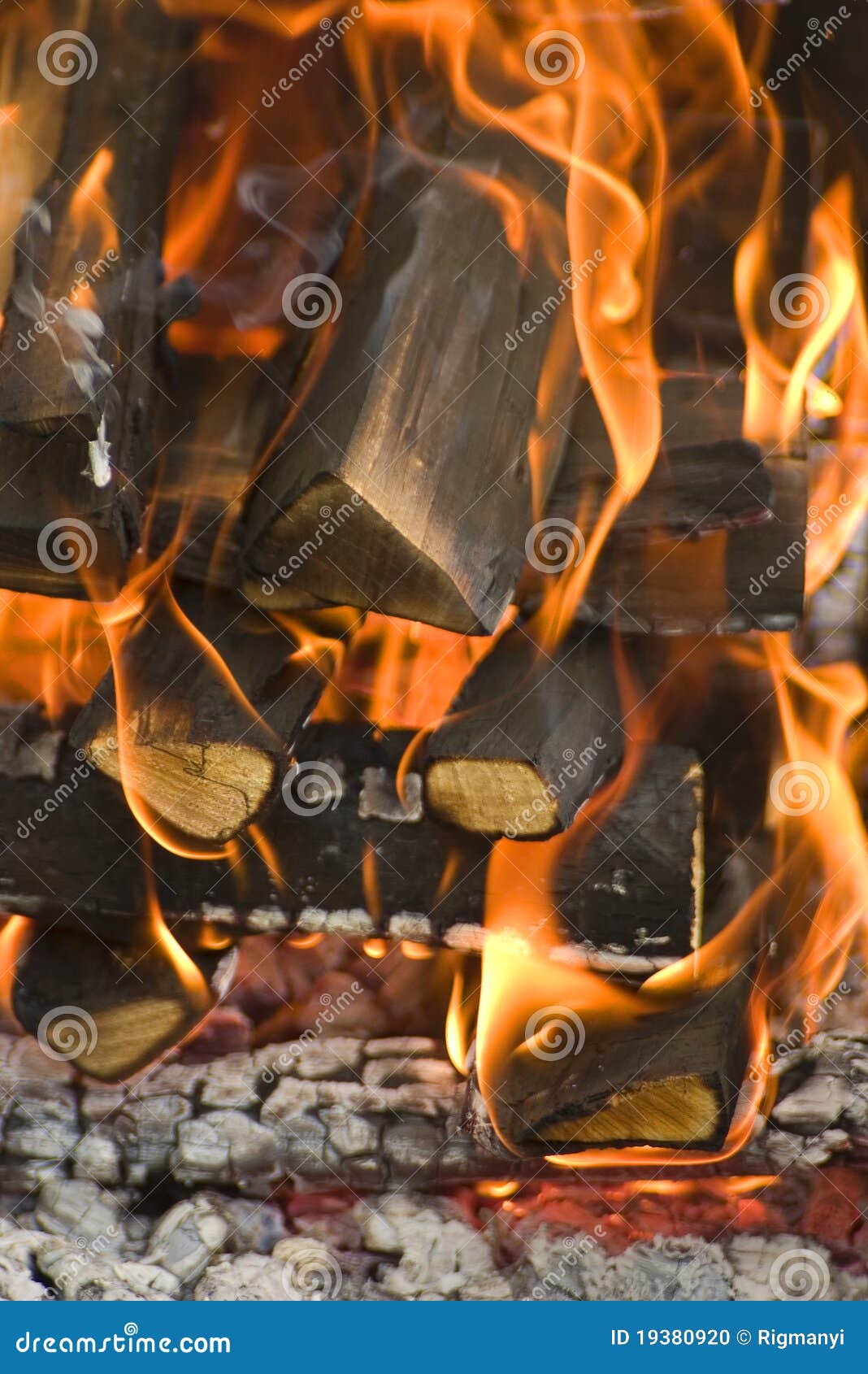 Burning wood stock photo. Image of camp, burnt, firewood - 19380920