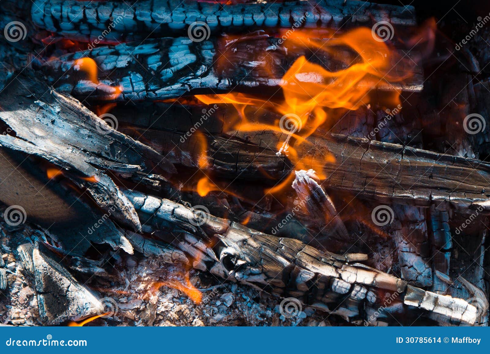 Burning of wood stock photo. Image of heated, burns, trees - 30785614