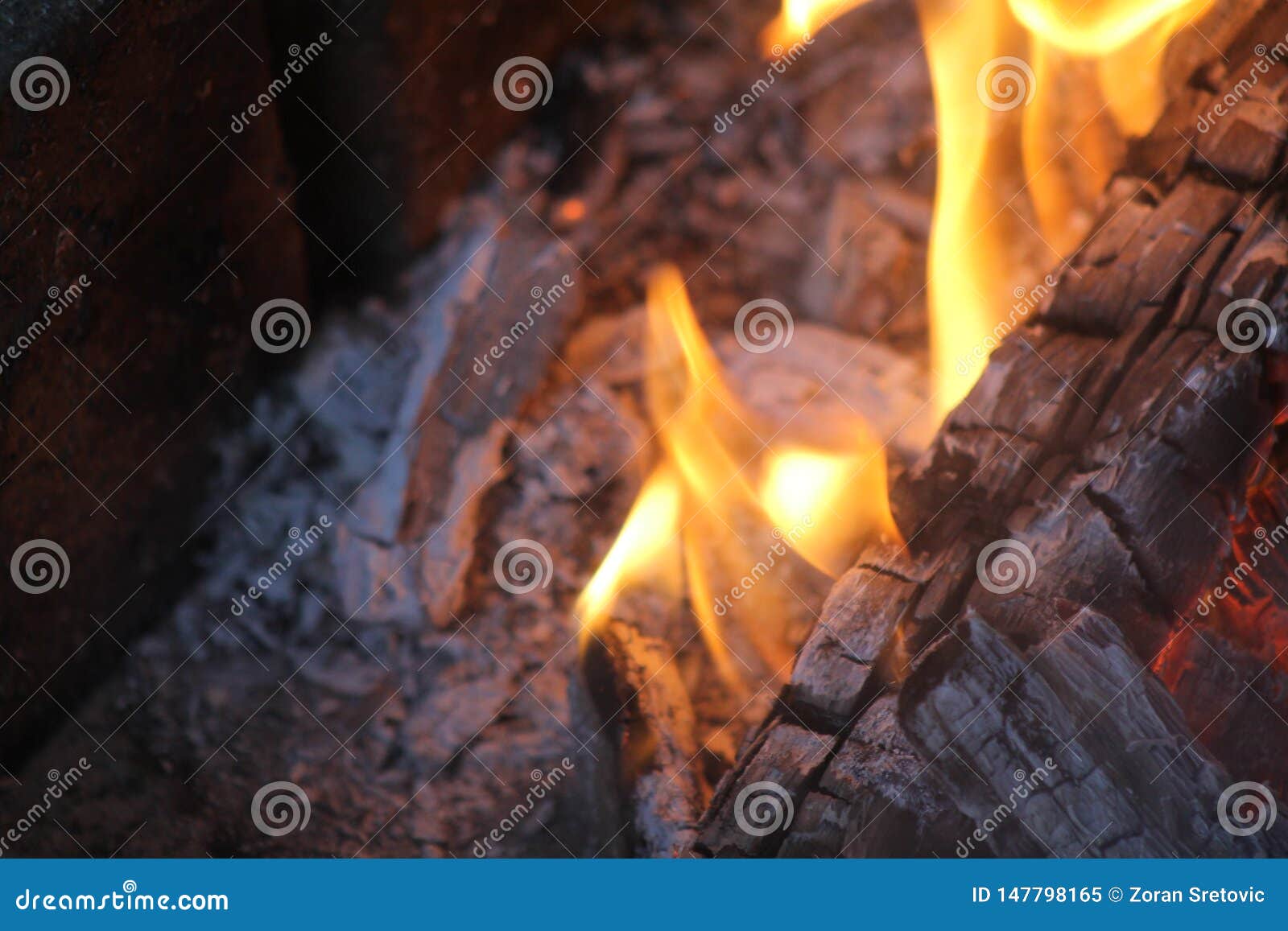 Burning Wood, Ember and Logs on Fire. Camp Fire. Stock Image - Image of ...