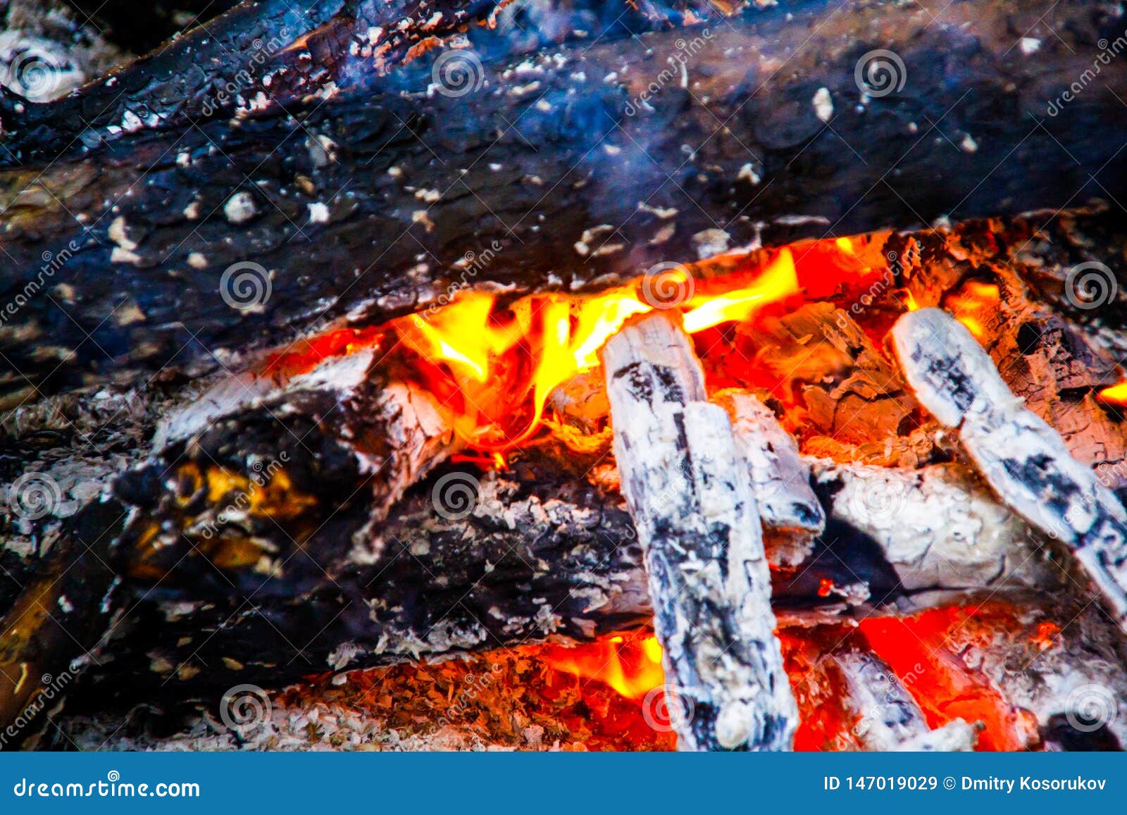 Burning wood in the fire stock image. Image of coal - 147019029