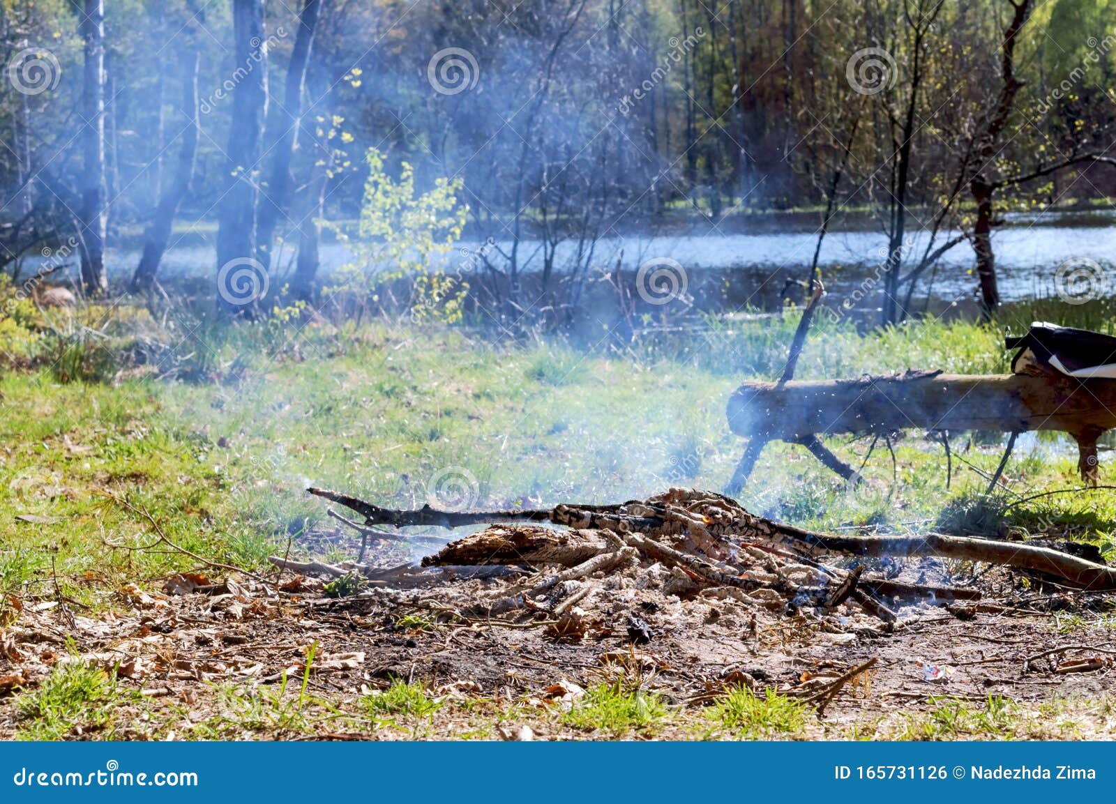Burning Wood in the Fire, an Extinct Fire in the Forest Stock Photo ...