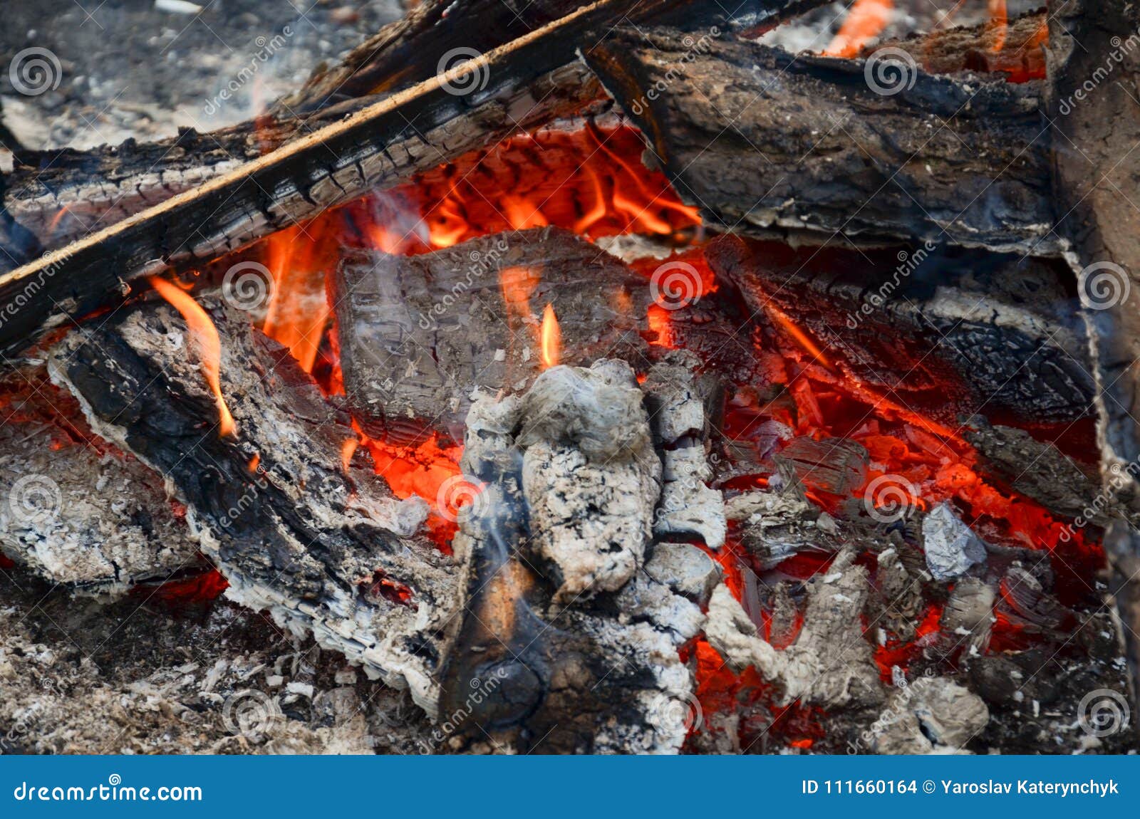 Burning Firewood in the Fire on the Ground. Stock Photo - Image of fire ...