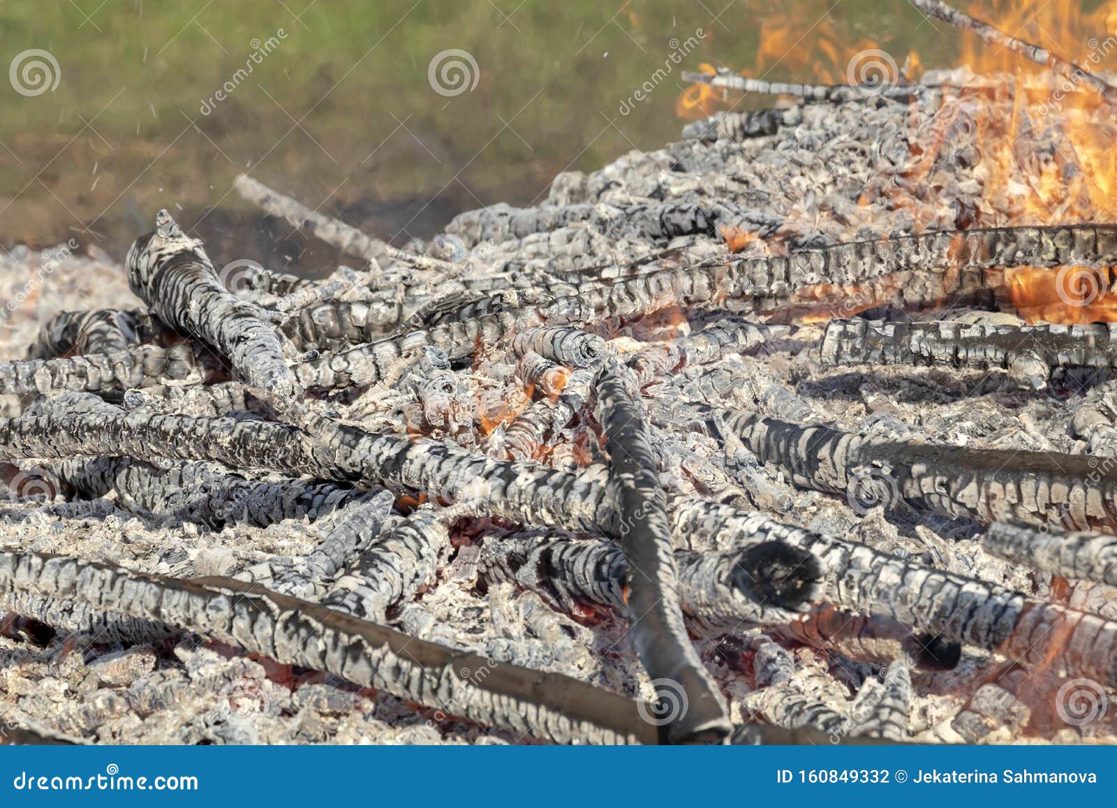 Burning Wood in Huge Bonfire. Natural Background of Fire and Ashes with ...