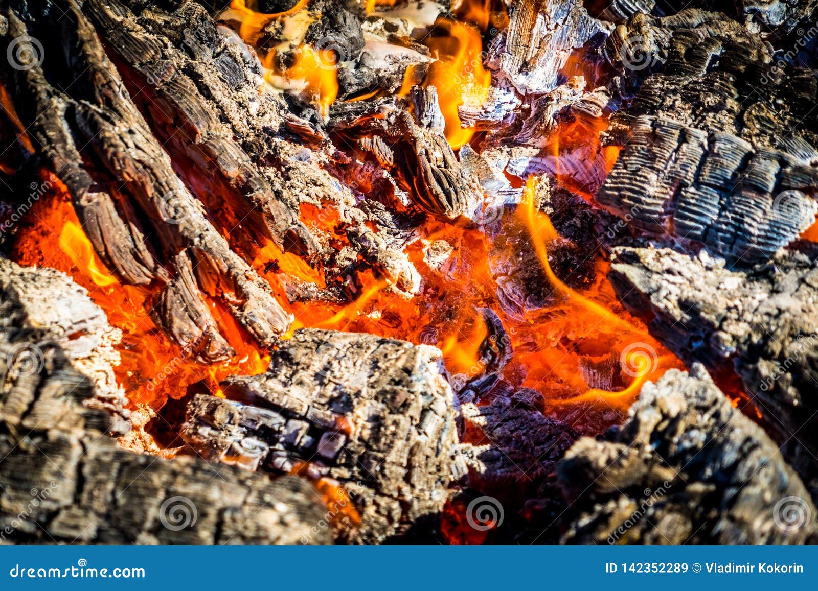Burning Wood. Photograph of the Dying Fire Stock Image - Image of ...