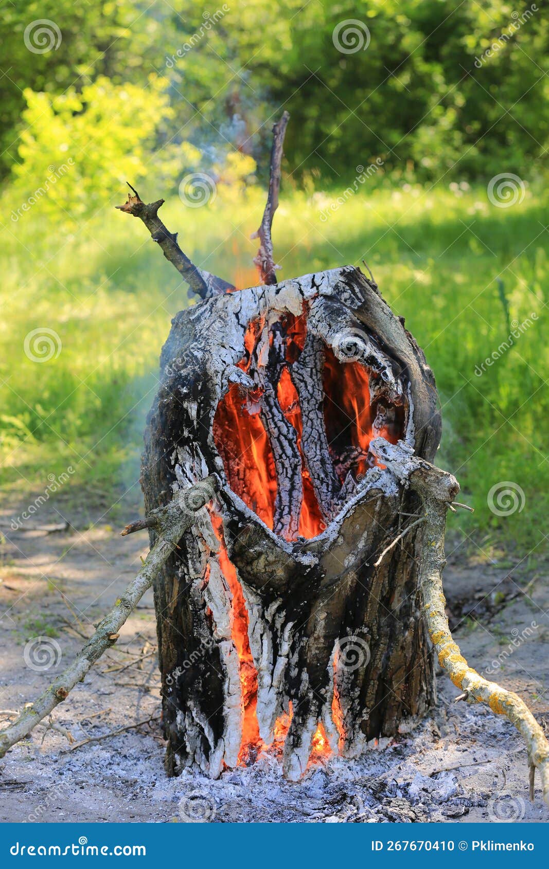Burning Wooden Stump on Meadow Stock Photo - Image of smoke, plant ...