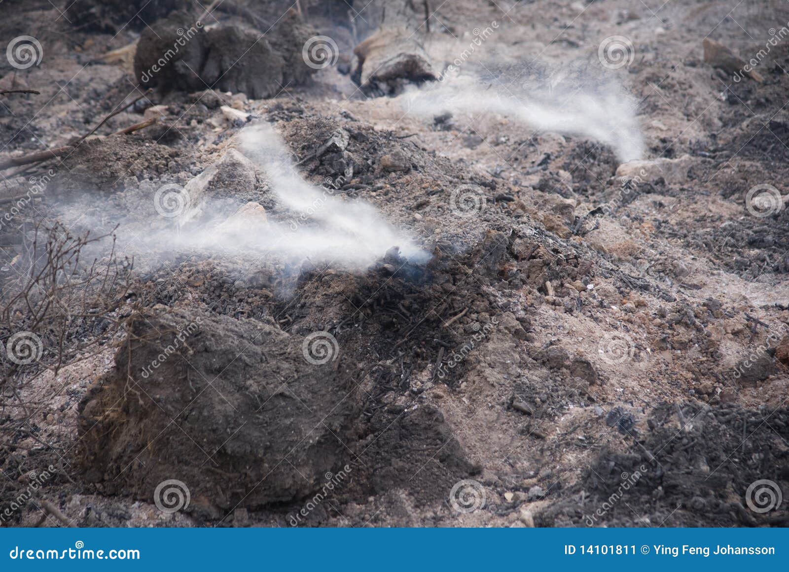 Burnt Area with White Smoke Stock Image - Image of fume, damaged: 14101811
