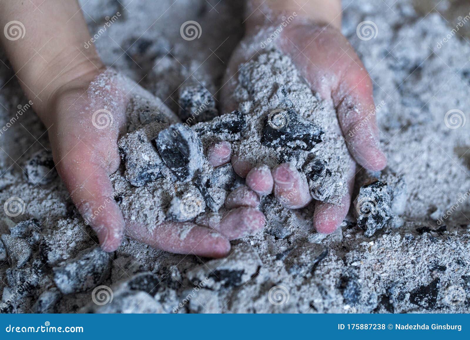 Burnt Ashes in a Child `s Hand Stock Photo - Image of coal, carry ...