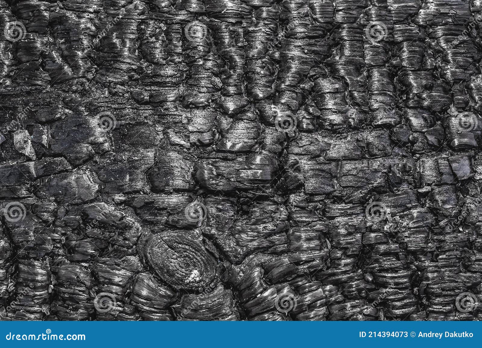 Burnt Black Wood Texture, Abstract Charred Barbecue Background Stock ...