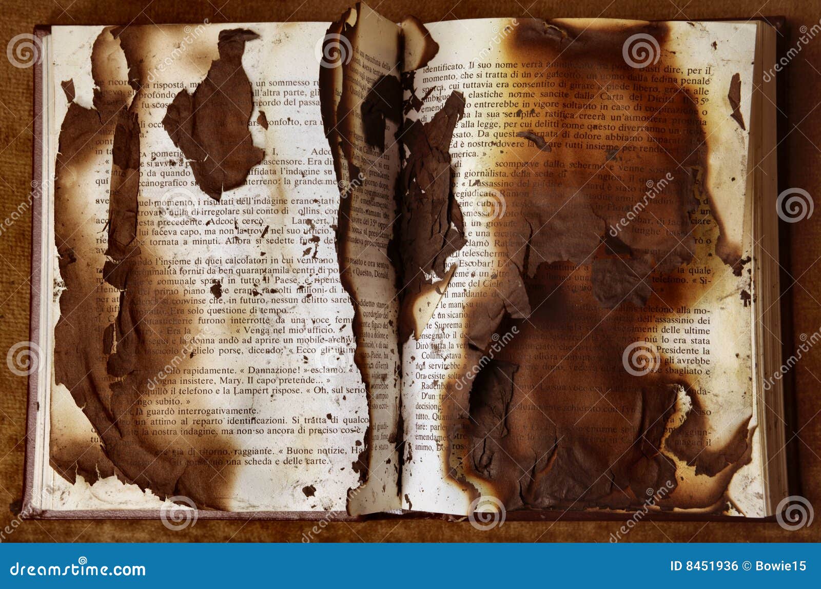Burnt Book Royalty Free Stock Image - Image: 8451936