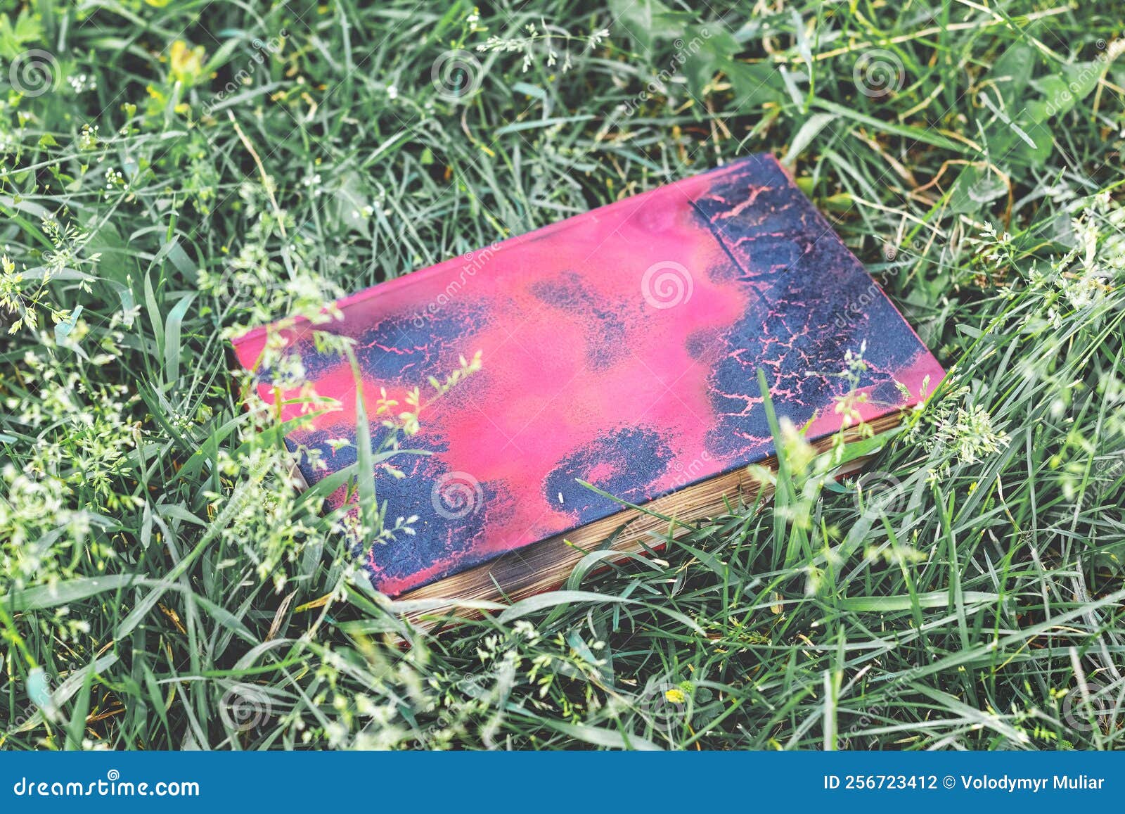 Burnt Book with Red Binding in the Garden on the Grass. a Discarded ...