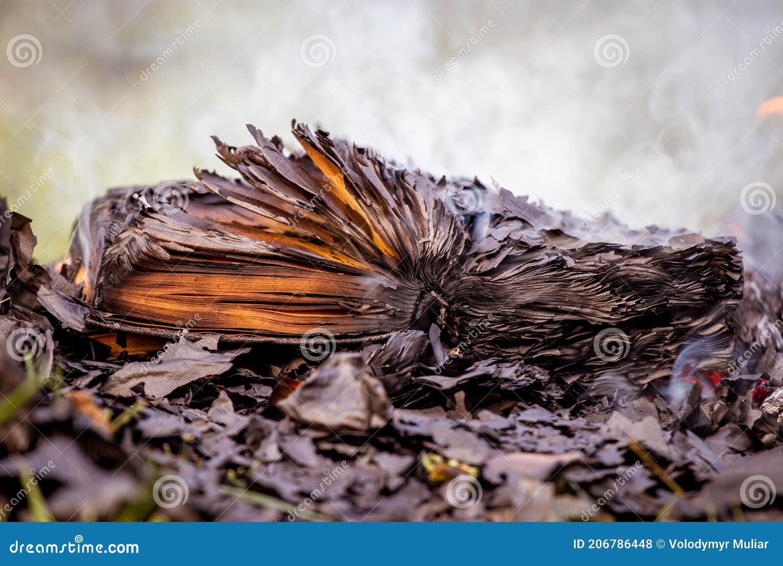 Burnt Book in the Smoke. Burning Old Books Stock Photo - Image of ...