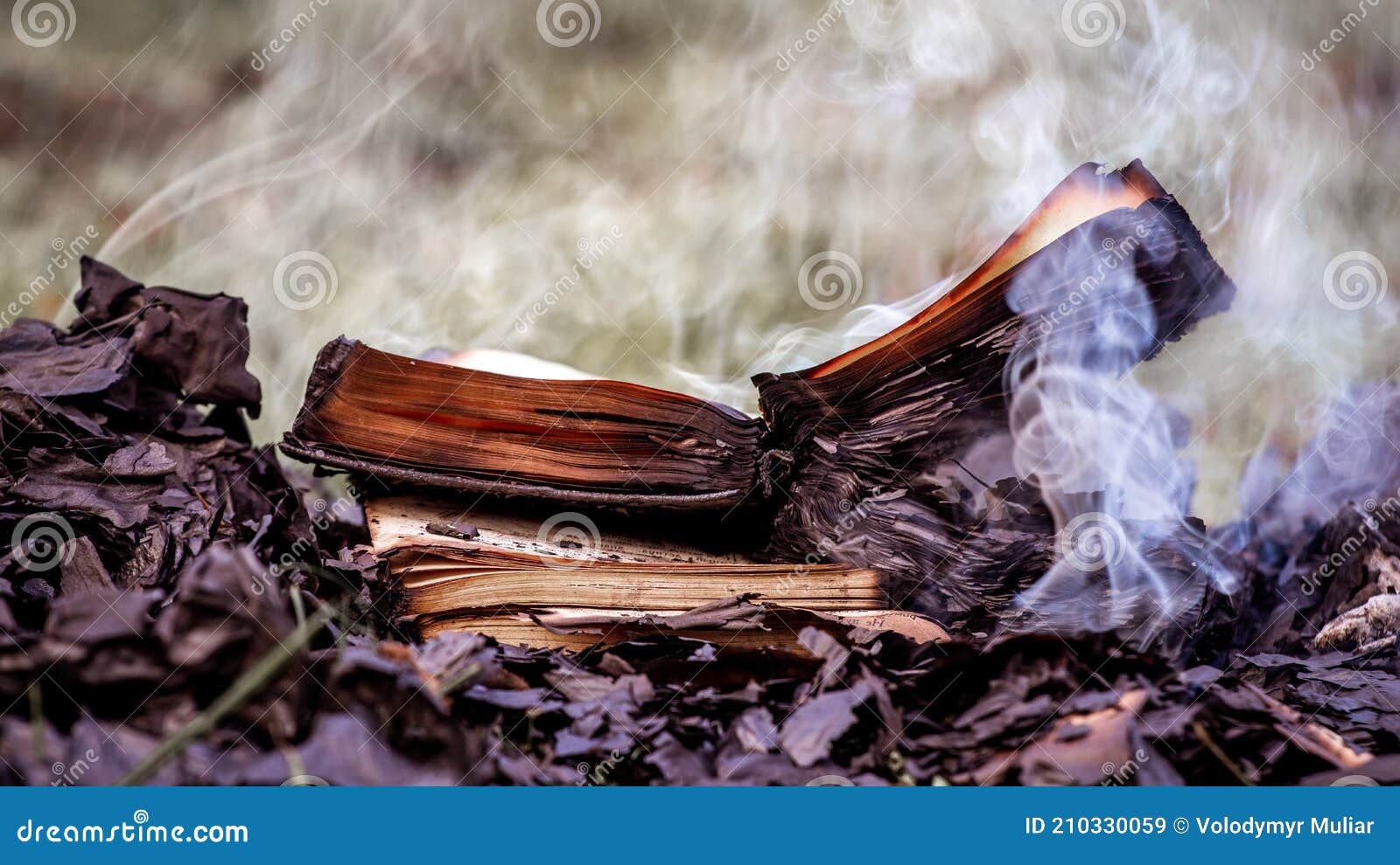 Burnt Books on a Fire in the Smoke Stock Image - Image of campfire ...