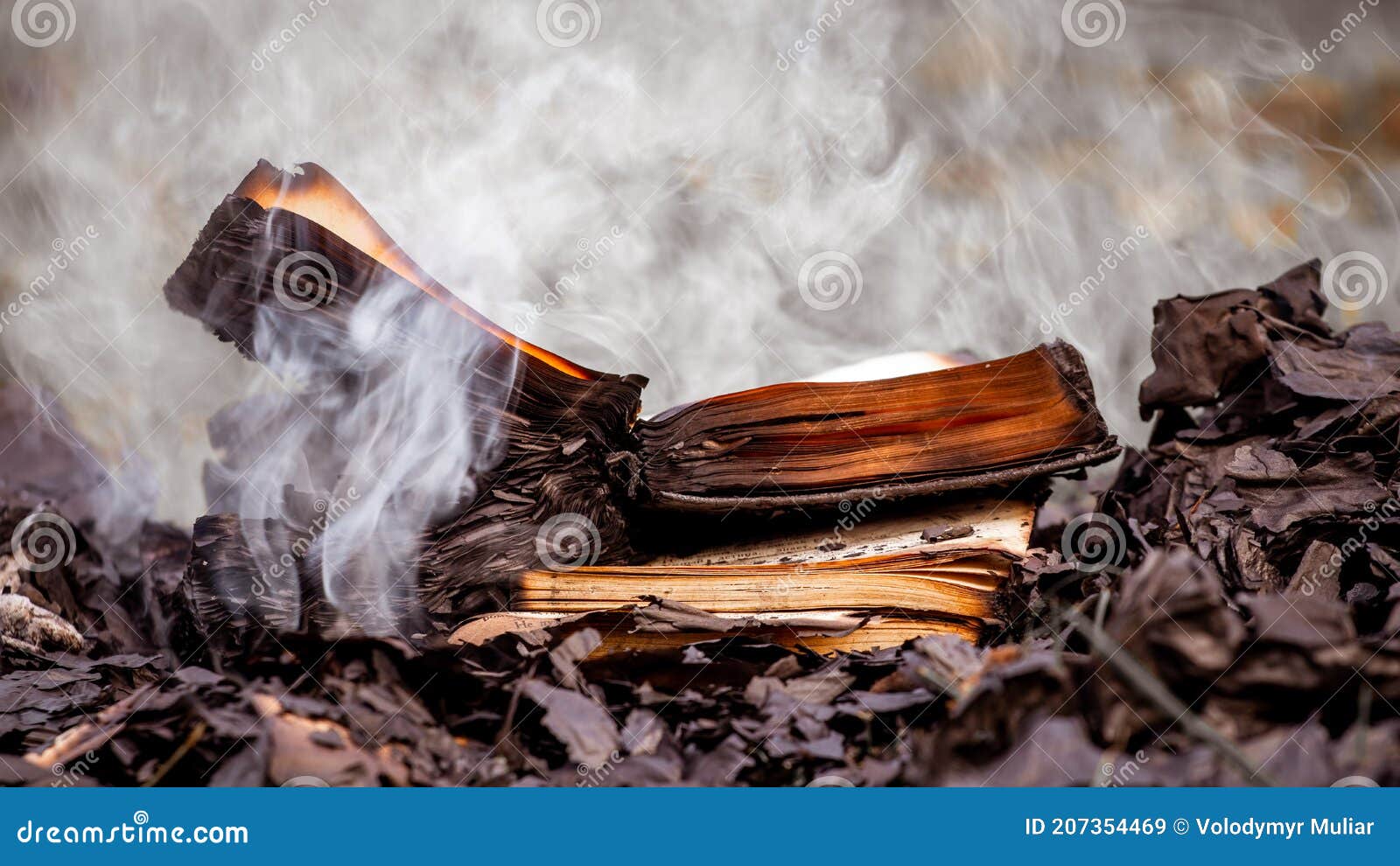 Burnt Books on a Pile of Ashes in the Smoke, Destruction of Books Stock ...