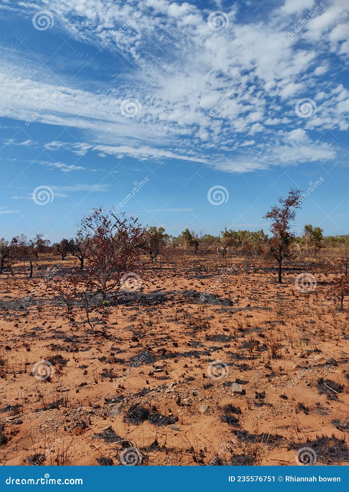Burnt bush fire stock image. Image of bush, burnt, fire - 235576751