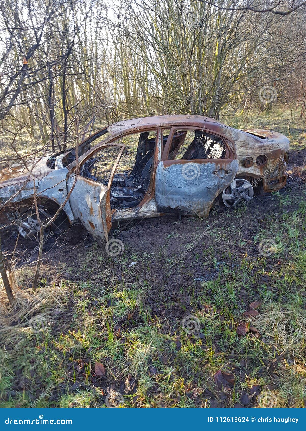 Burnt car stock photo. Image of burnt, mazda, fire, trees - 112613624