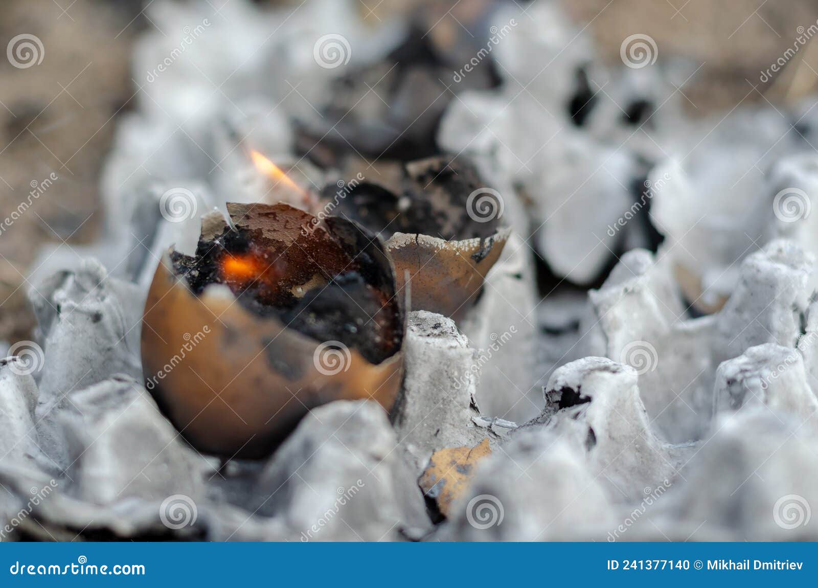 Burnt Chicken Eggs in the Tray. Scorched Chicken Shells in Ashes from ...