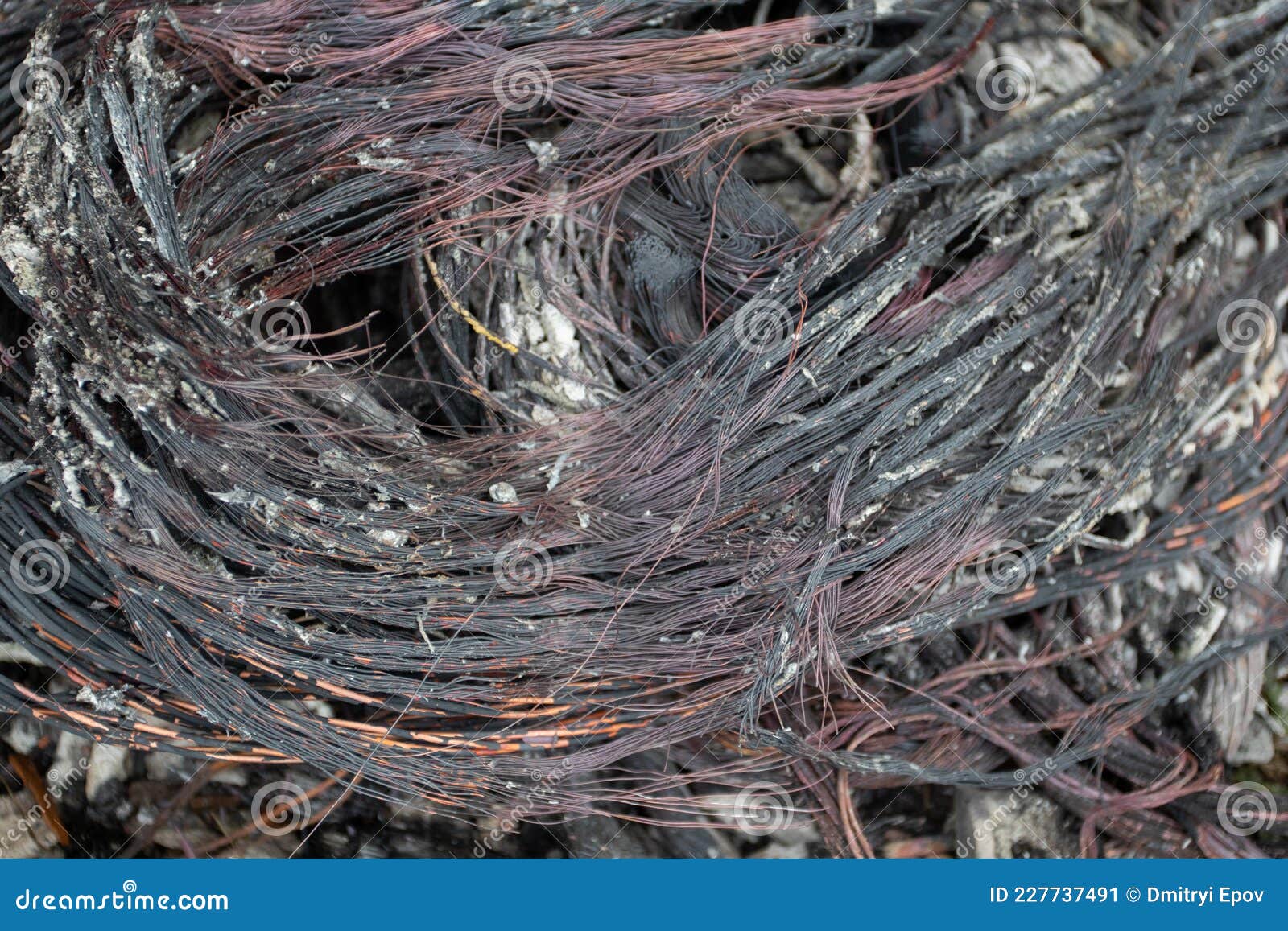 Burnt Copper Metal Wires for Scrap Metal Stock Image - Image of wires ...
