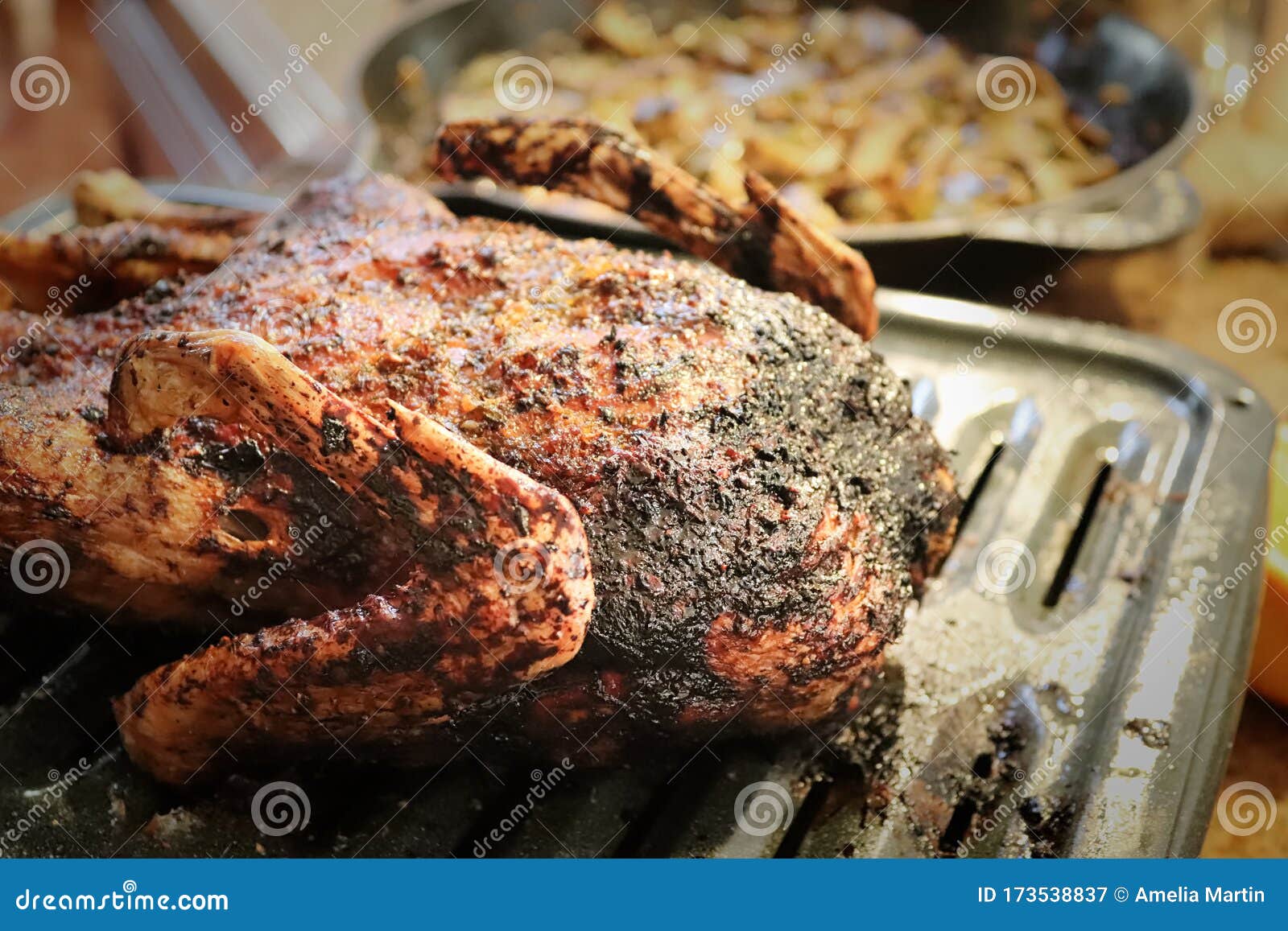 A Burnt Duck on a Roasting Pan Stock Image - Image of crispy, bird ...