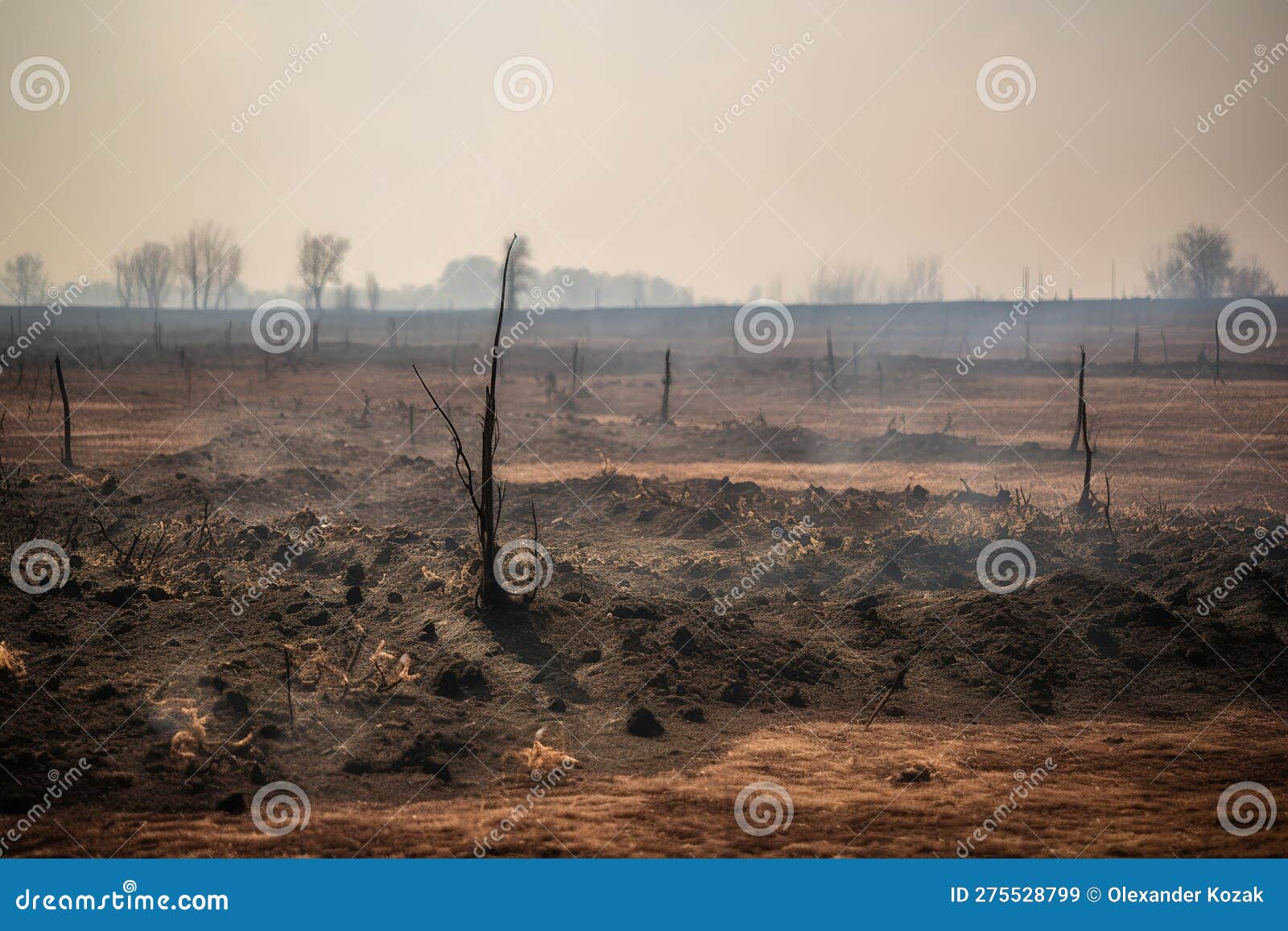 Burnt Field with Smoke. Dry Burning that Pollutes the Environment ...