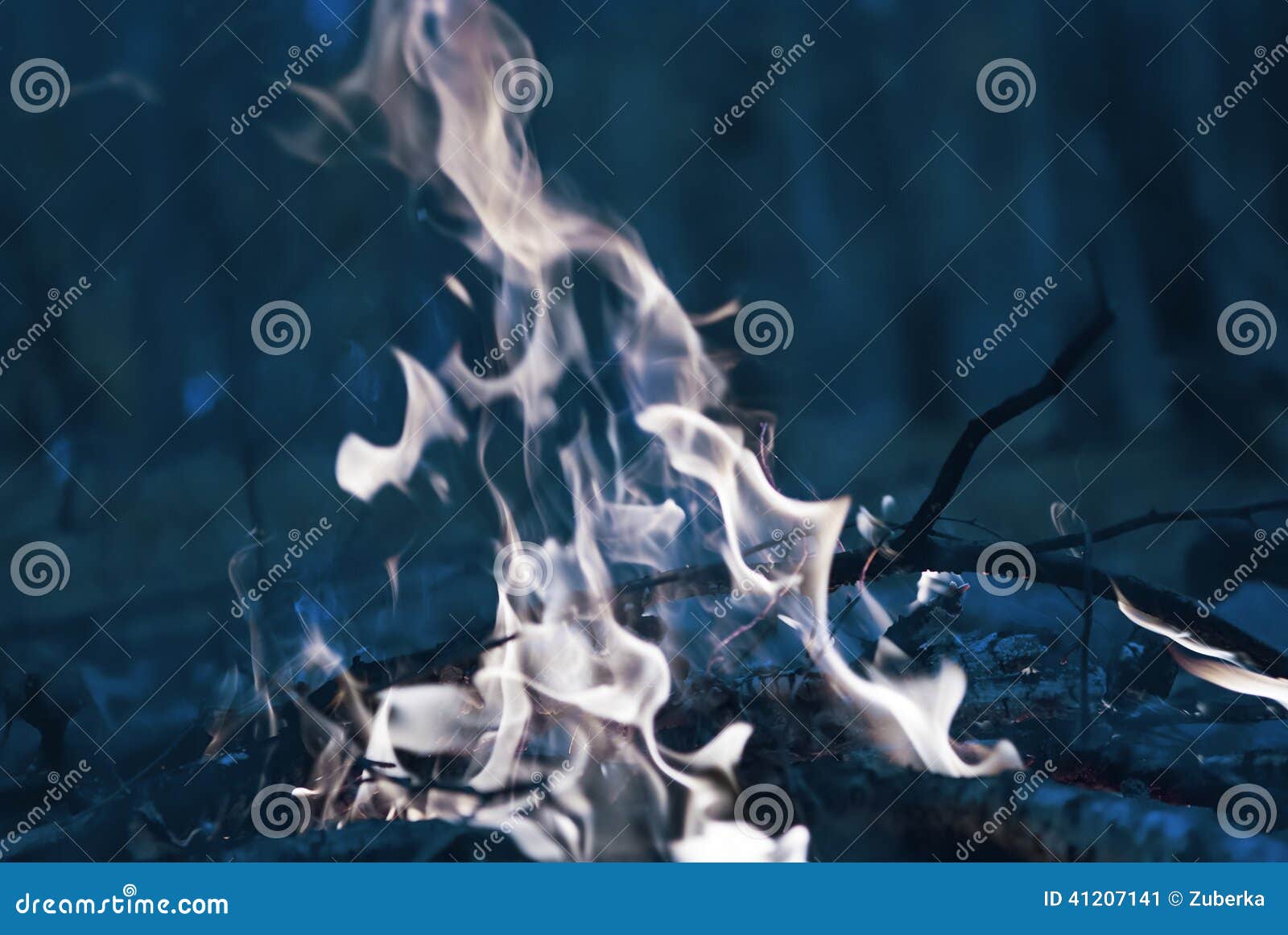 Burnt fire stock image. Image of burnt, nature, outdoors - 41207141