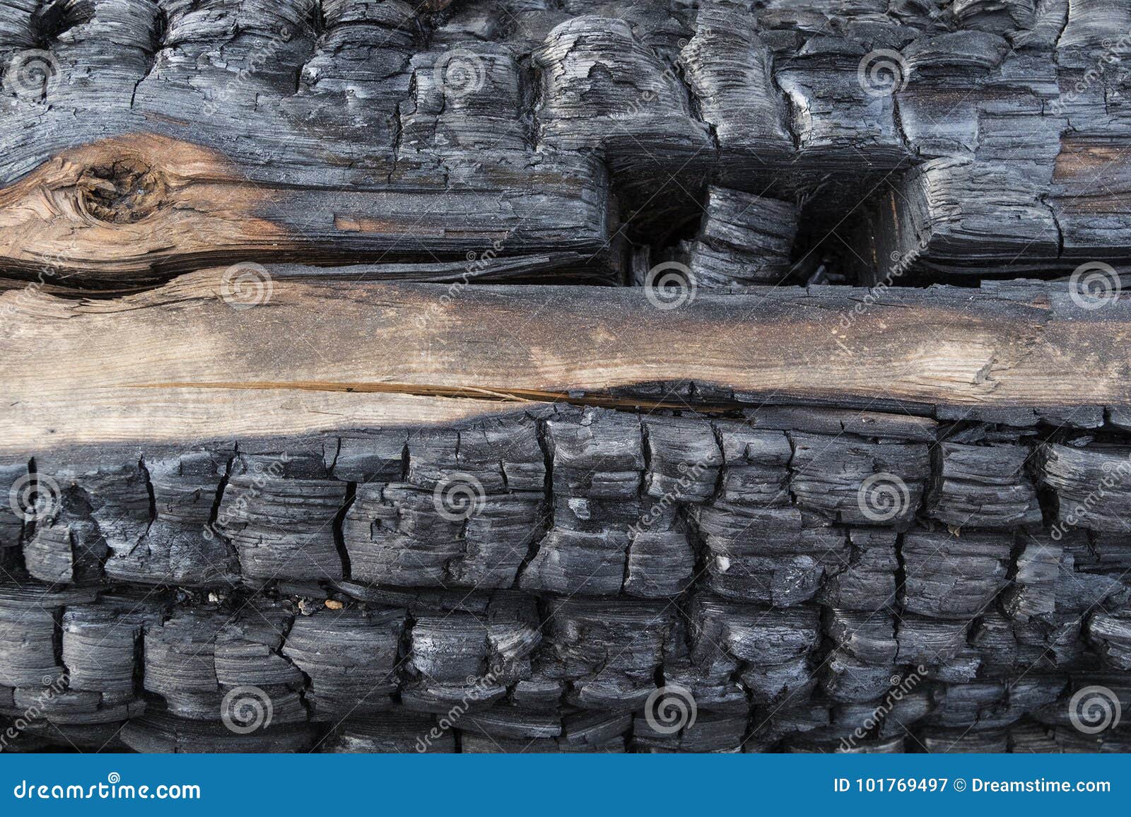 Charred Logs after a Fire Background Stock Image - Image of fire ...