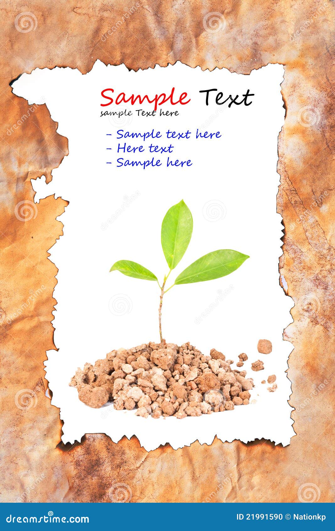 Burnt frame stock photo. Image of parchment, wrinkled - 21991590