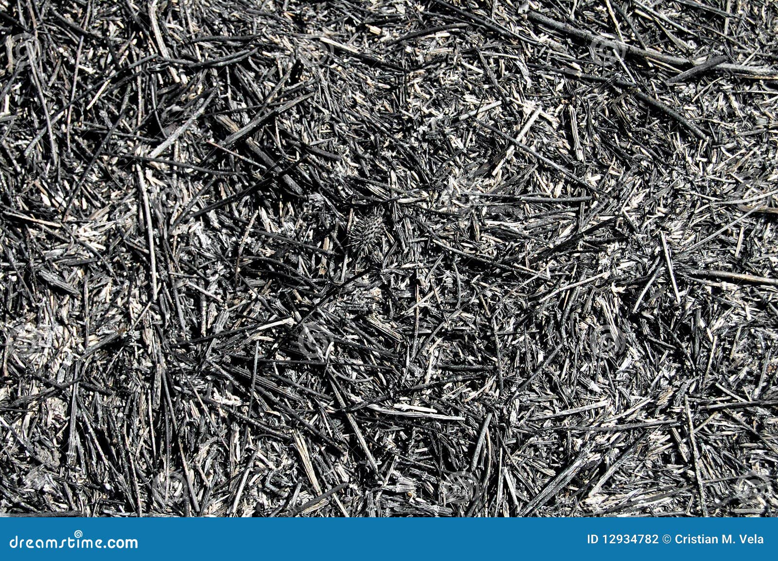 Burnt gorund texture stock photo. Image of fire, black - 12934782