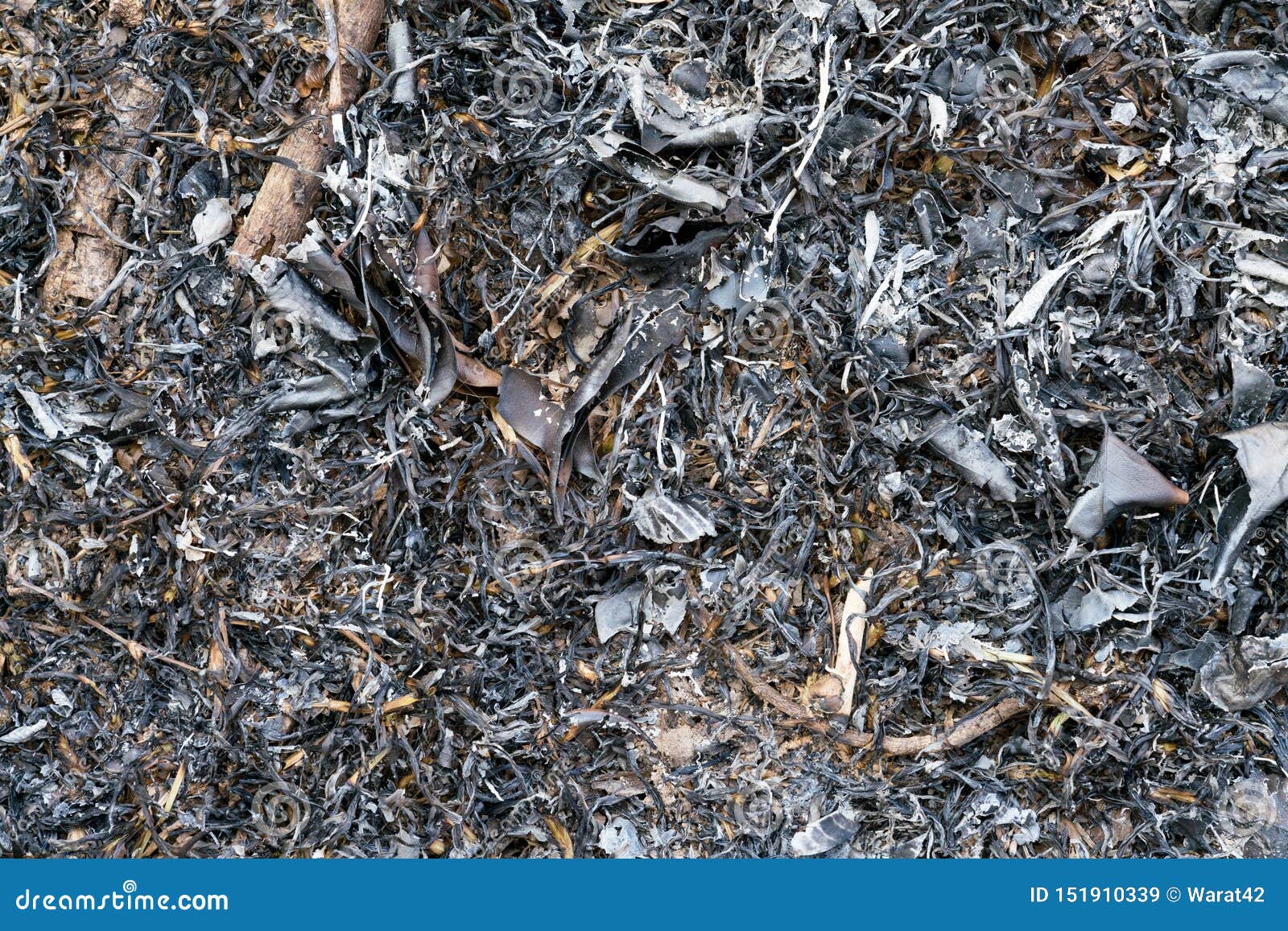 Burnt Grass and Ashes Textured Background Stock Image - Image of black ...