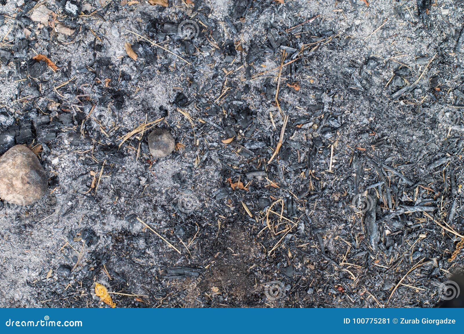 Burnt grass, burnt ground stock image. Image of textured - 100775281