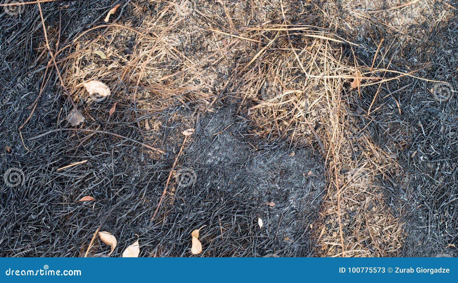 Burnt grass, burnt ground stock image. Image of grass - 100775573