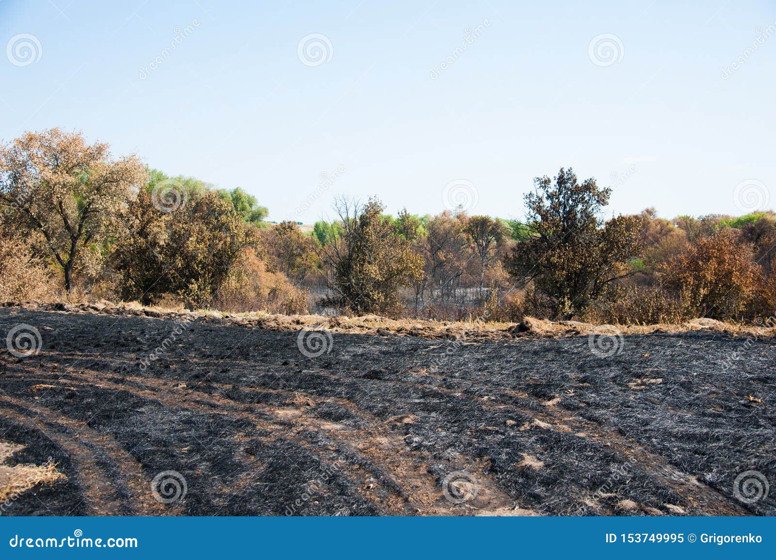 Burnt Grass, Landscape Fire Stock Image - Image of wildfire, field ...