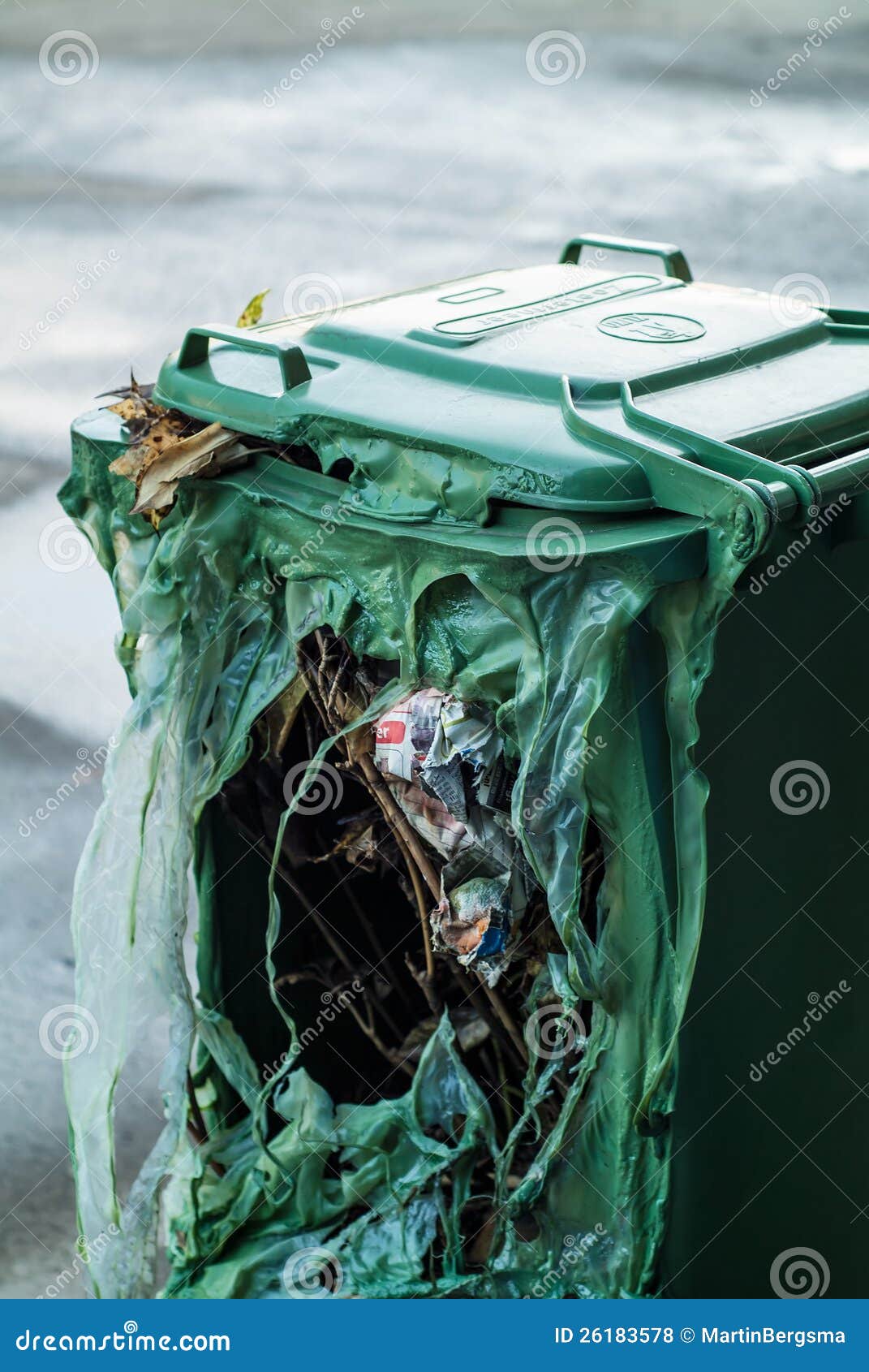 Green Garbage Waste Collection Dumpster, Problems Of Ecology Sorting ...