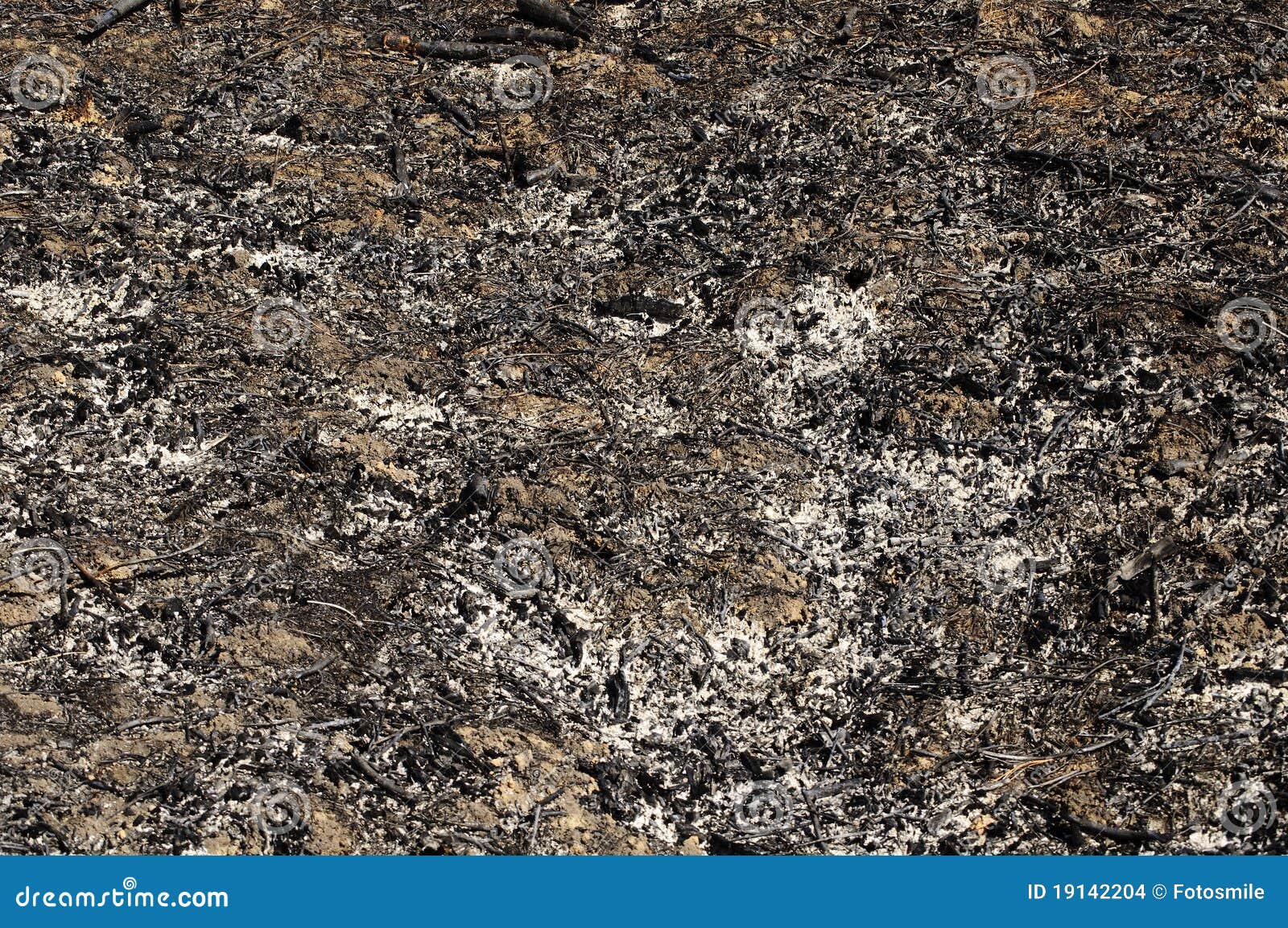 Burnt ground stock photo. Image of burn, destruction - 19142204