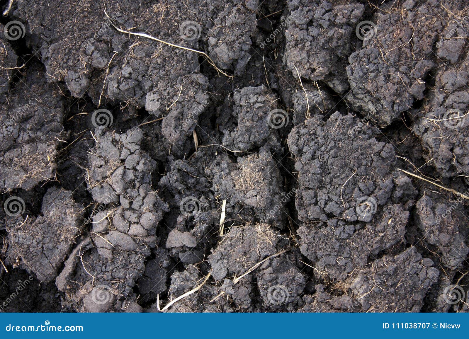 Burnt ground stock image. Image of burnt, environment - 111038707