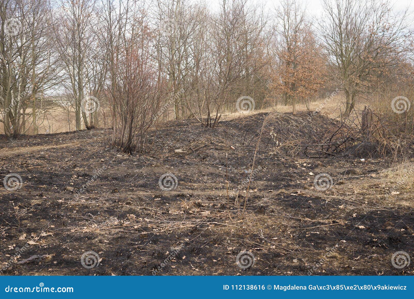 Empty burnt ground stock photo. Image of torph, empty - 112138616