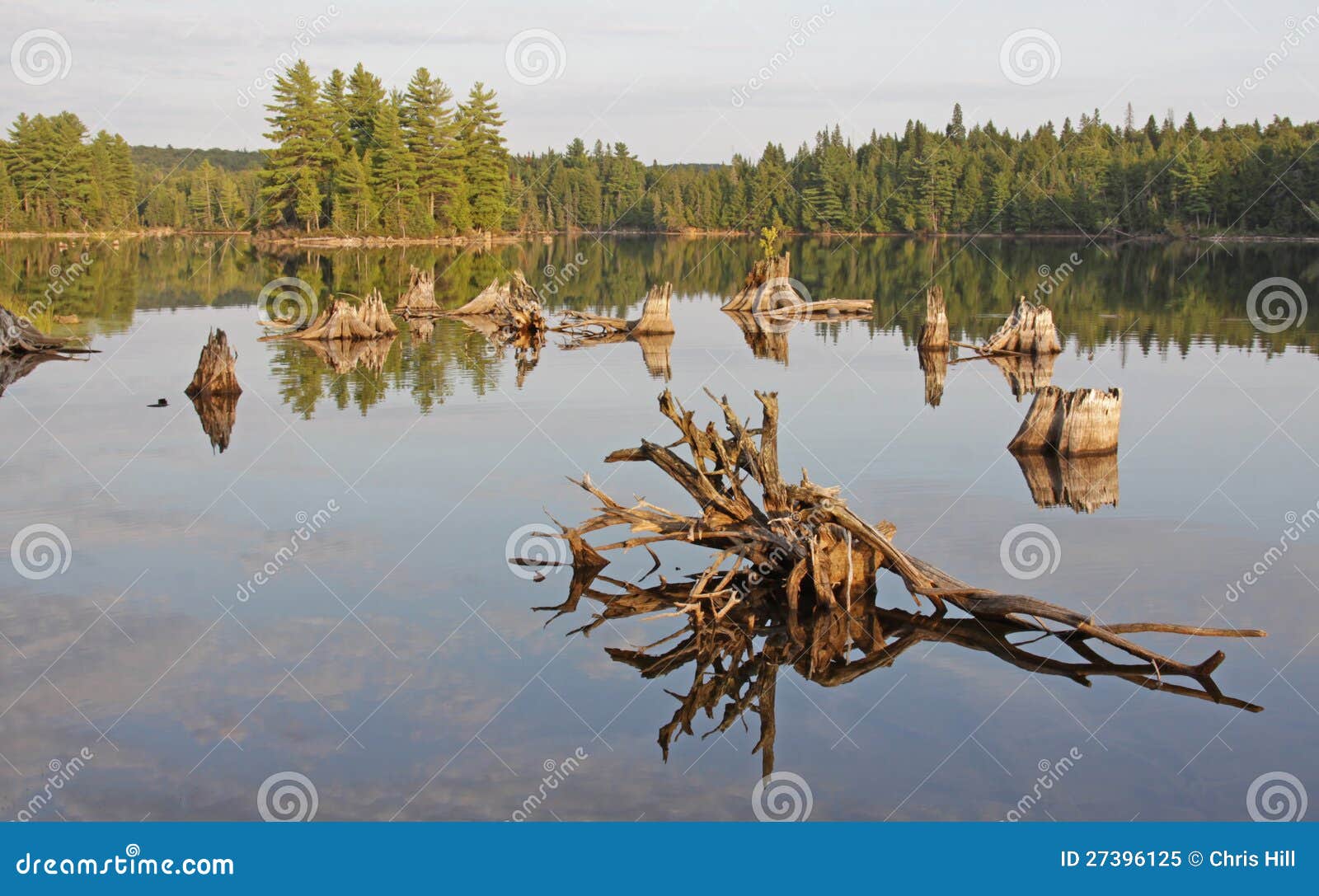 Burnt Island Reflection stock image. Image of wood, landscape - 27396125